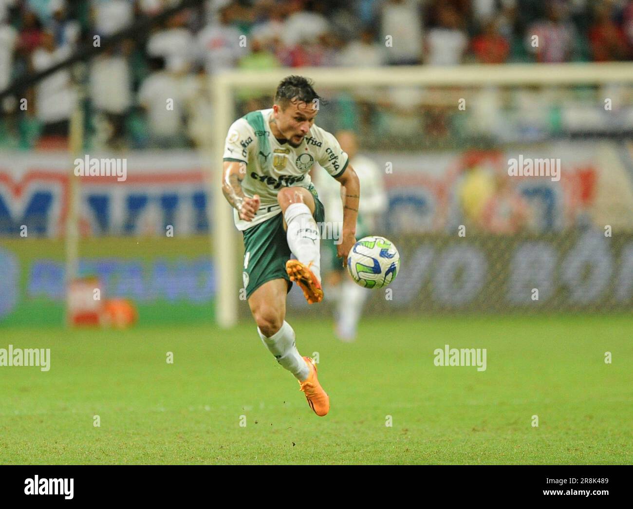 BA - SALVADOR - 06/21/2023 - BRAZILEIRO A 2023, BAHIA X PALMEIRAS ...