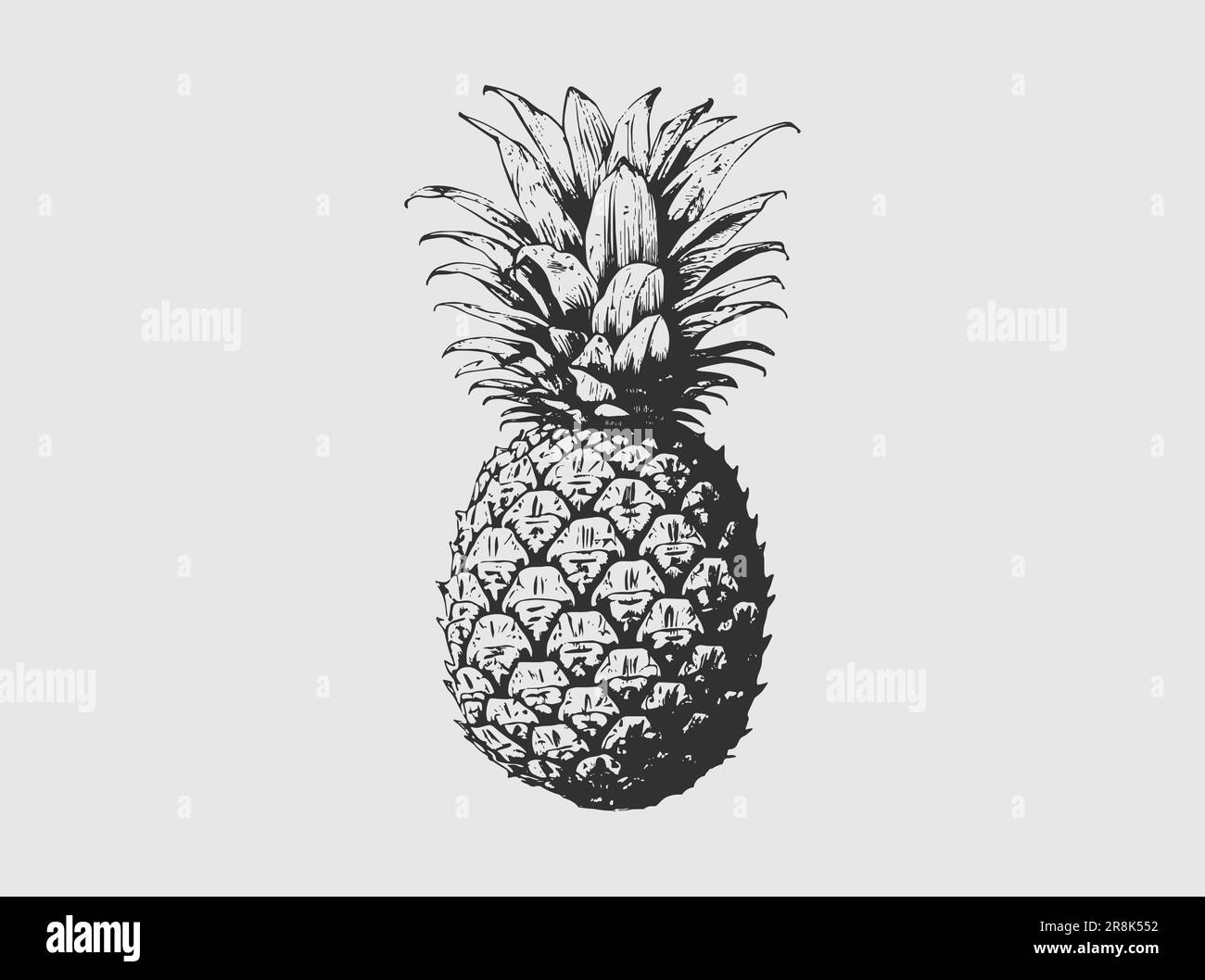 Ananas vector vectors Black and White Stock Photos & Images - Alamy