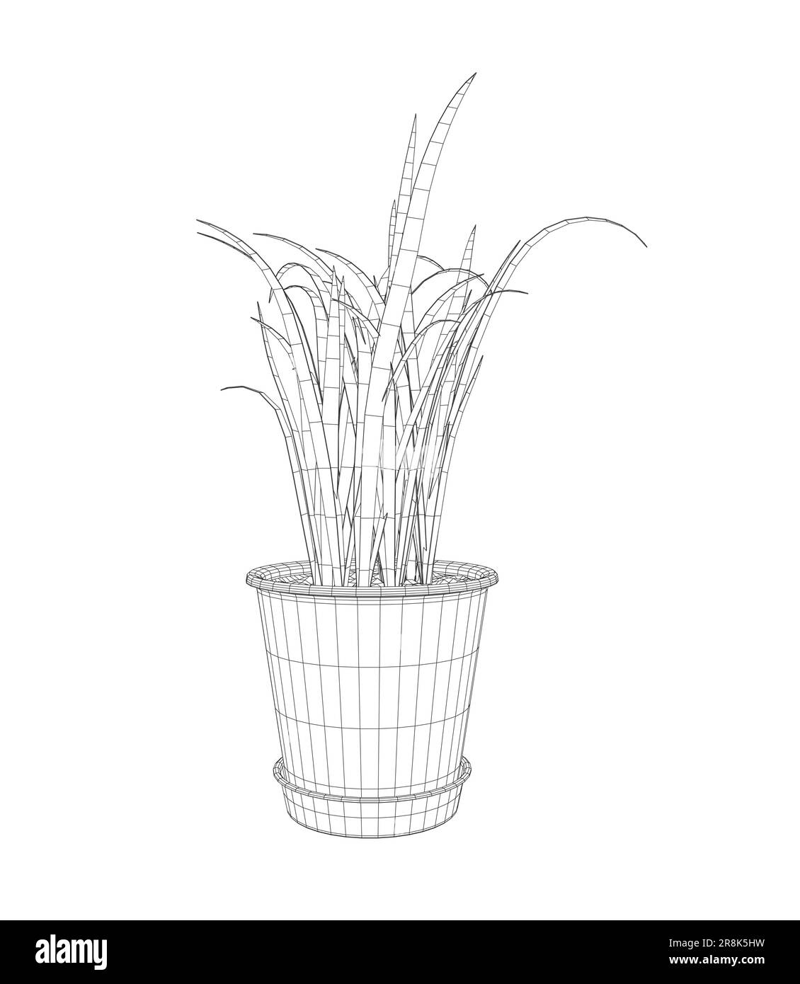 Plant in flower pot wireframe. Line wireframe version, outline and ...