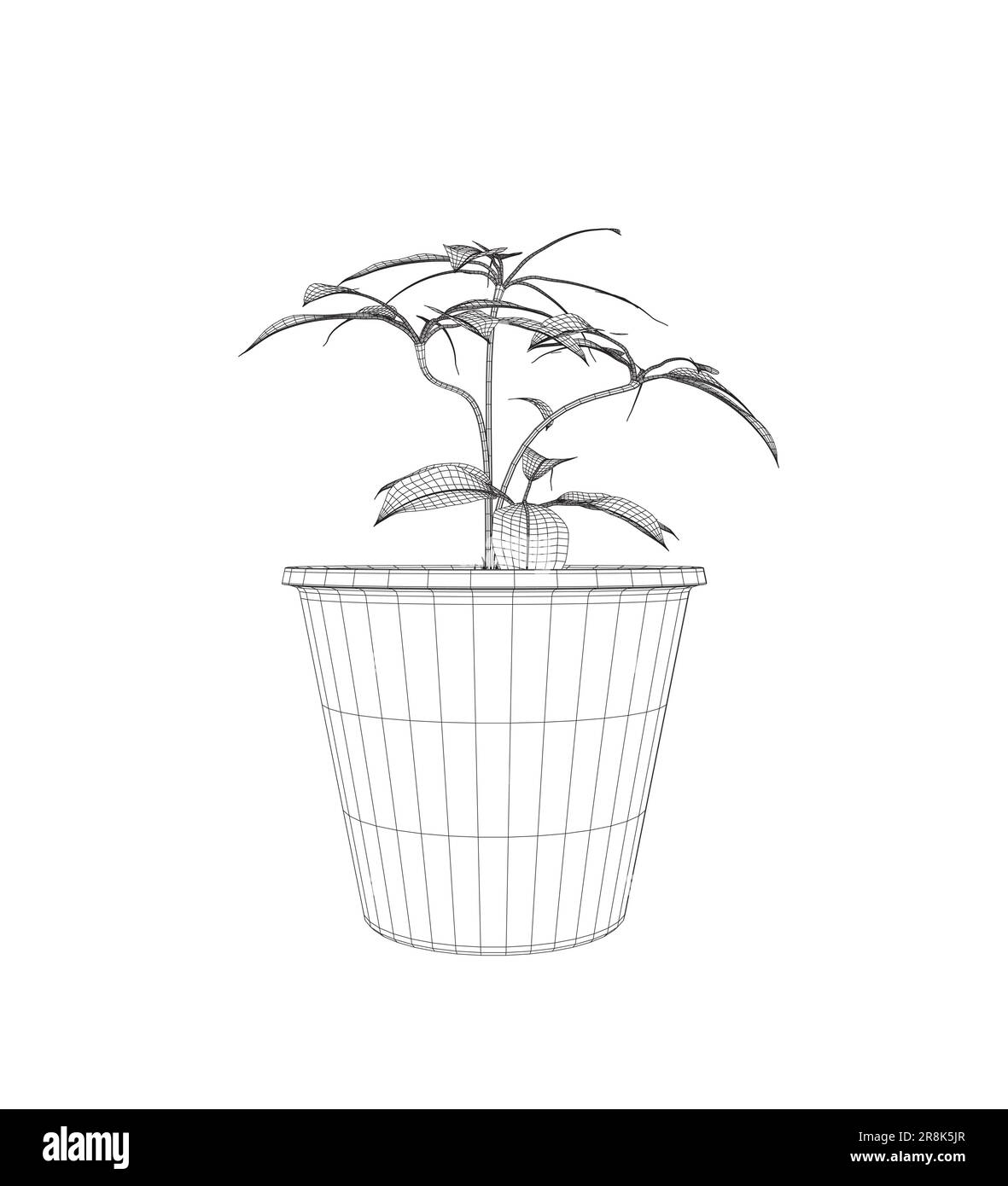 Plant in flower pot wireframe. Line wireframe version, outline and ...