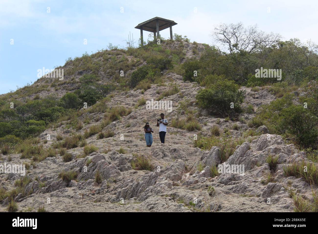 Jathika Namal Uyana, Dambulla,Sri Klanka Stock Photo - Alamy