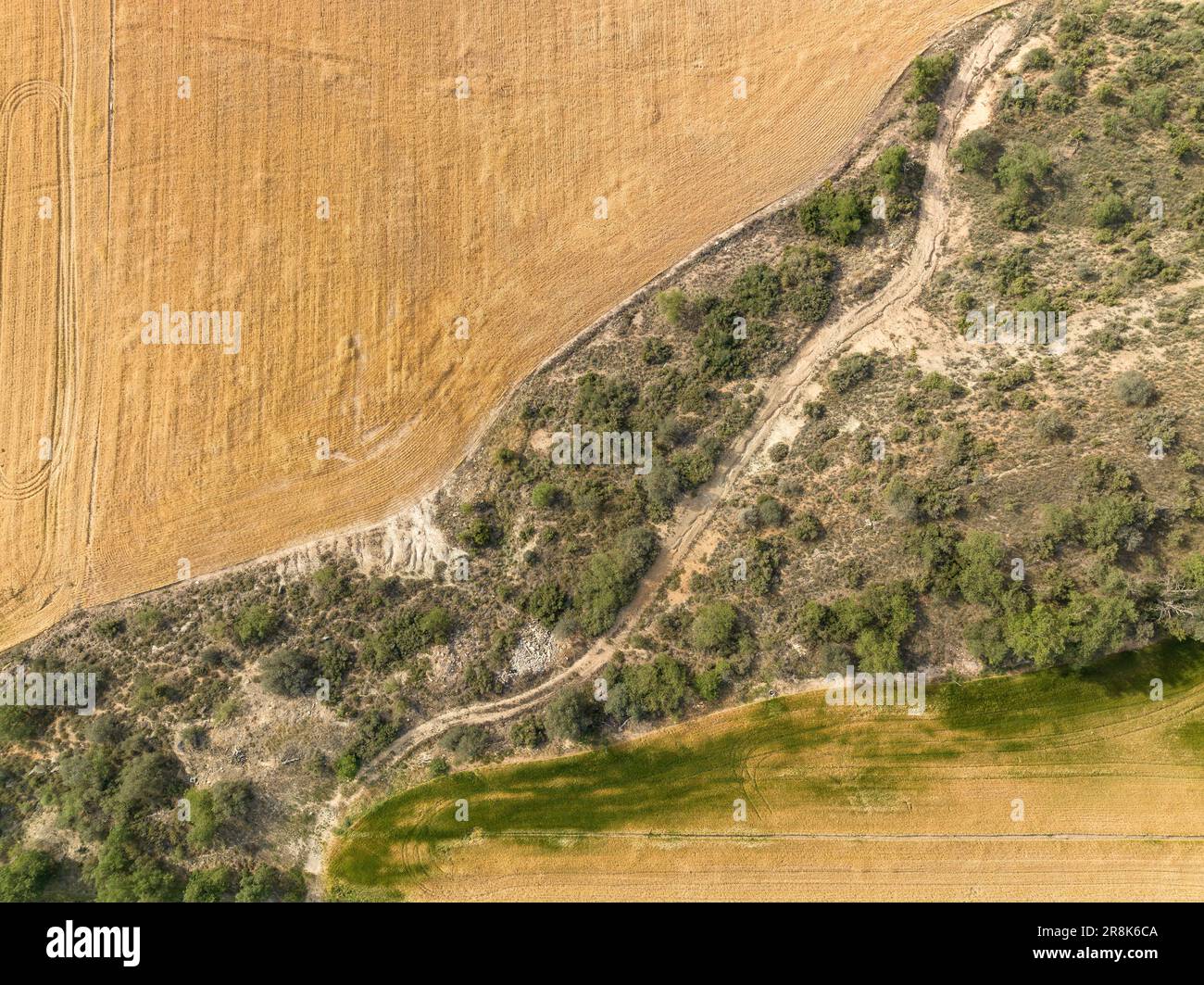 Sendero rural hi-res stock photography and images - Alamy
