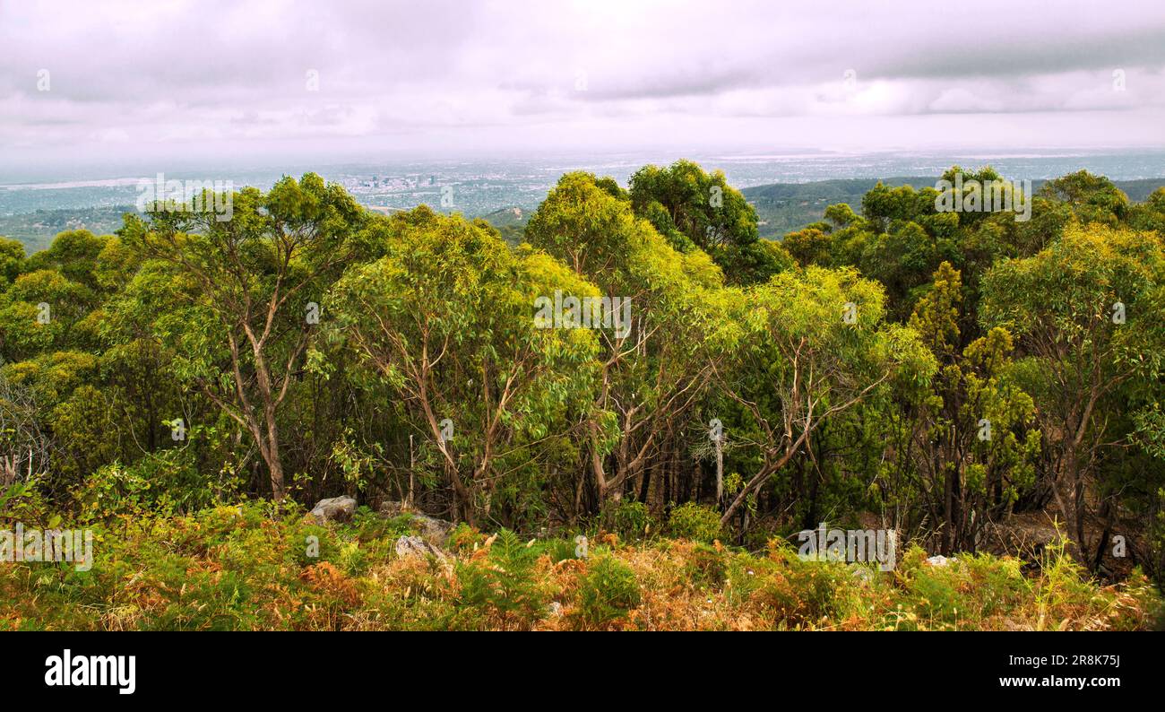 Across adelaides city hi-res stock photography and images - Alamy