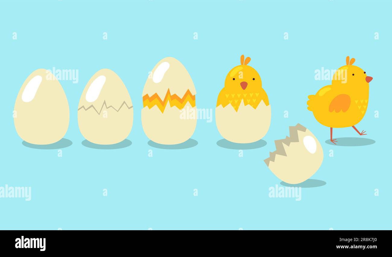 Baby chick hatching stages set Stock Vector Image & Art - Alamy