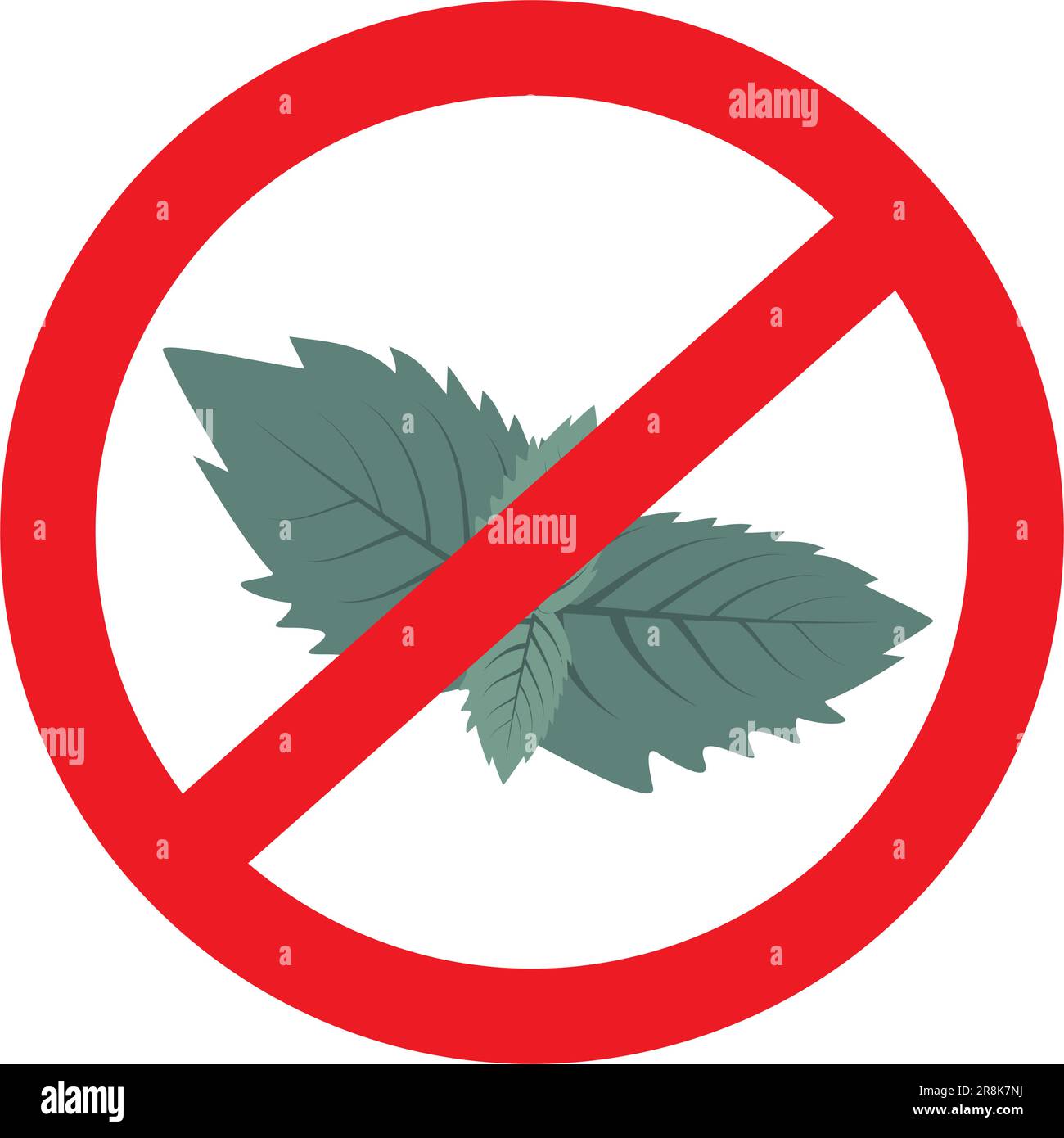 Mint leaves in trendy shades with lettering on a transparent background ...