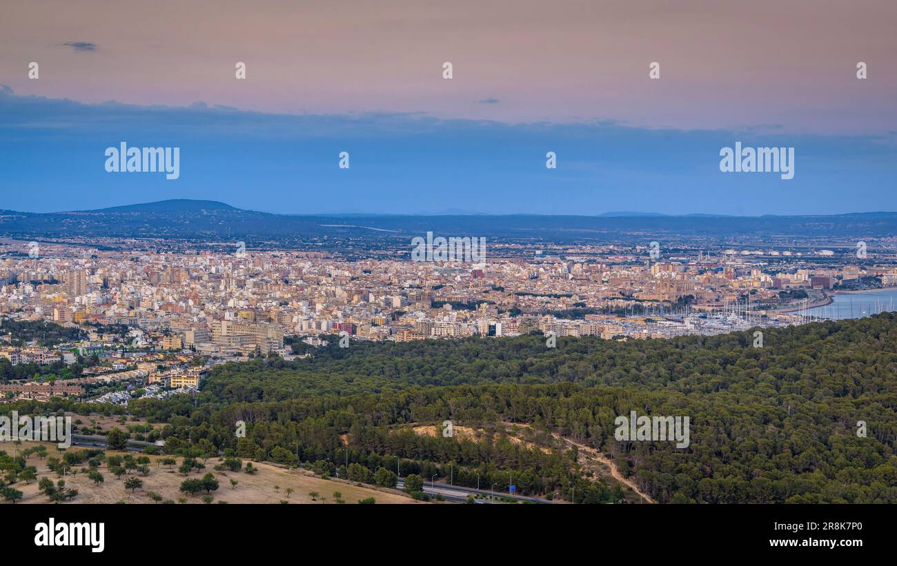 Tarde palma de mallorca hi-res stock photography and images - Alamy