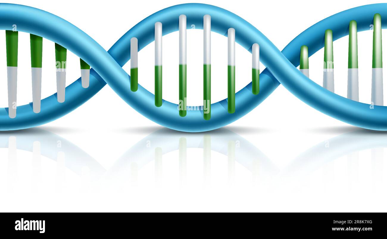 3d realistic vector icon of dna. Medial concept and element Stock ...