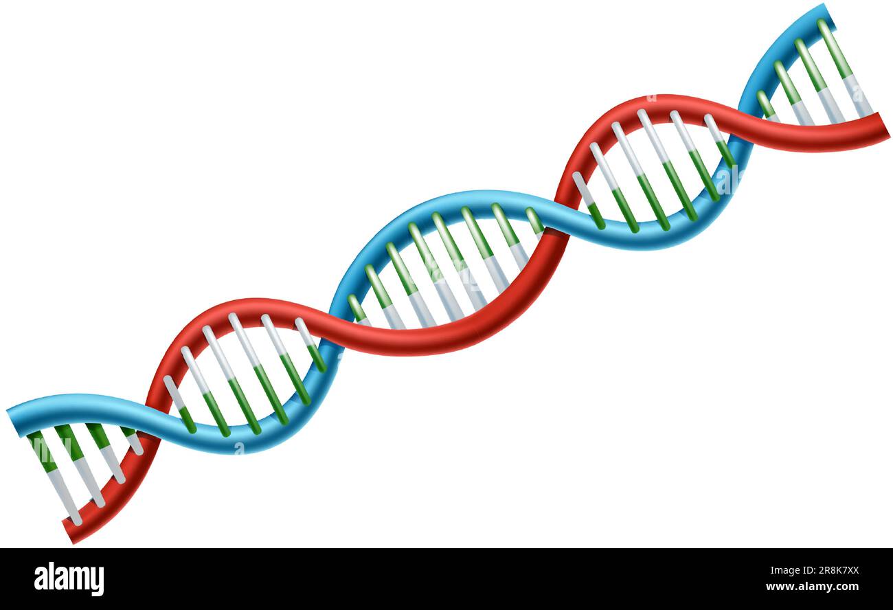 3d realistic vector icon of dna. Medial concept and element Stock ...