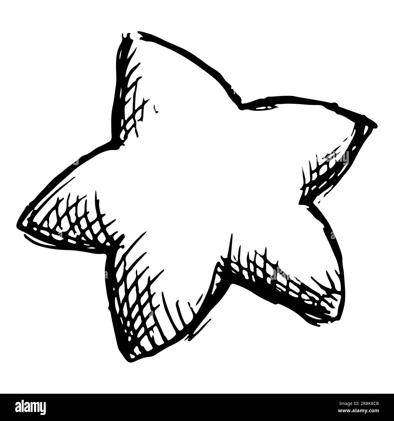Monochrome cartoon star sketched vector line art Stock Vector Image ...