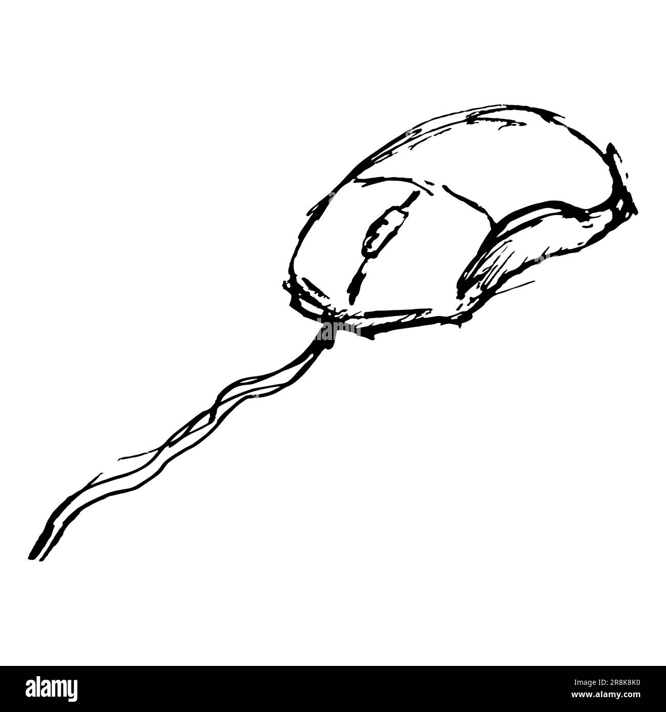 Monochrome computer mouse vector sketched line art Stock Vector Image ...