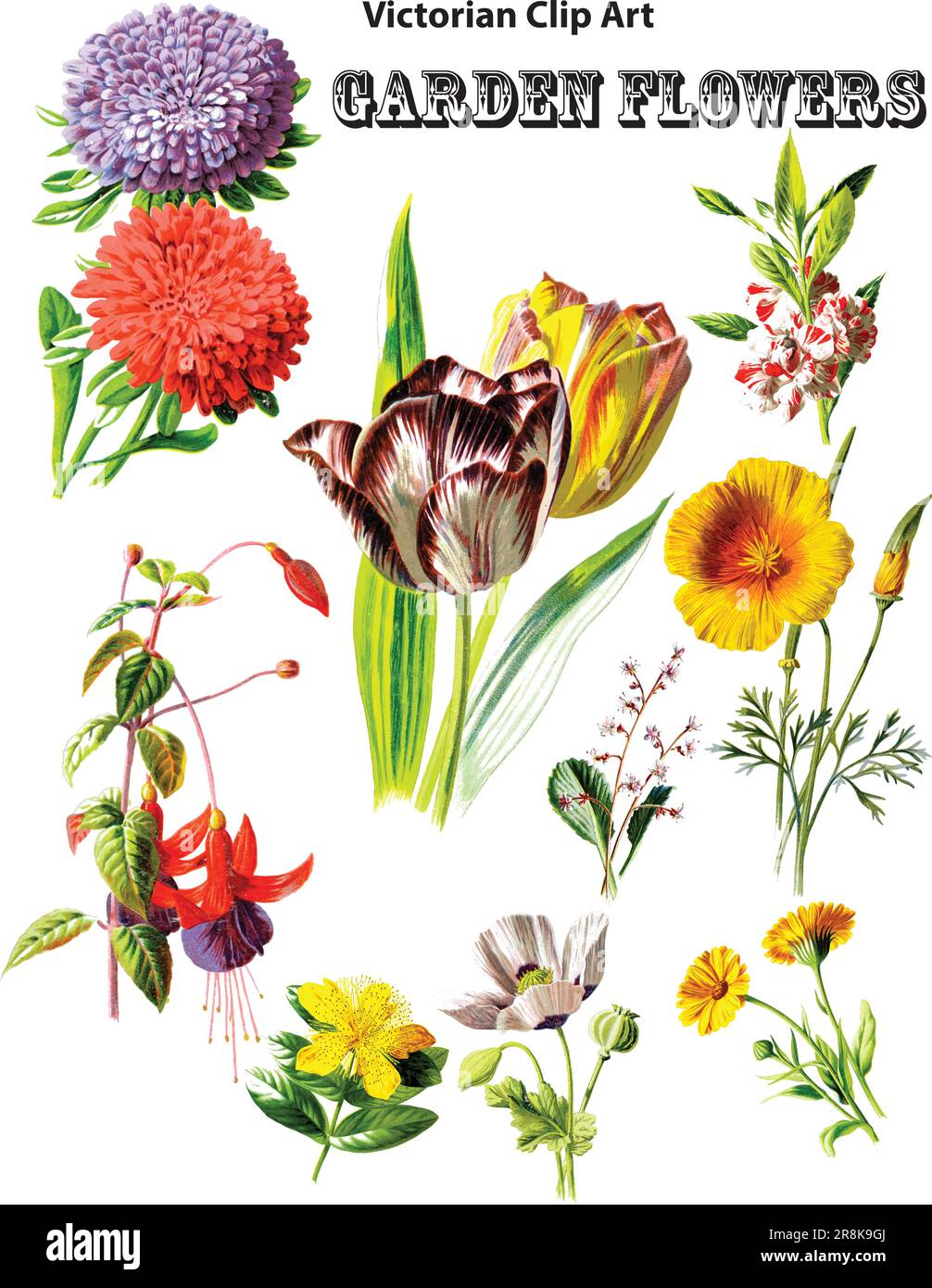 Victorian Flowers Clip Art
