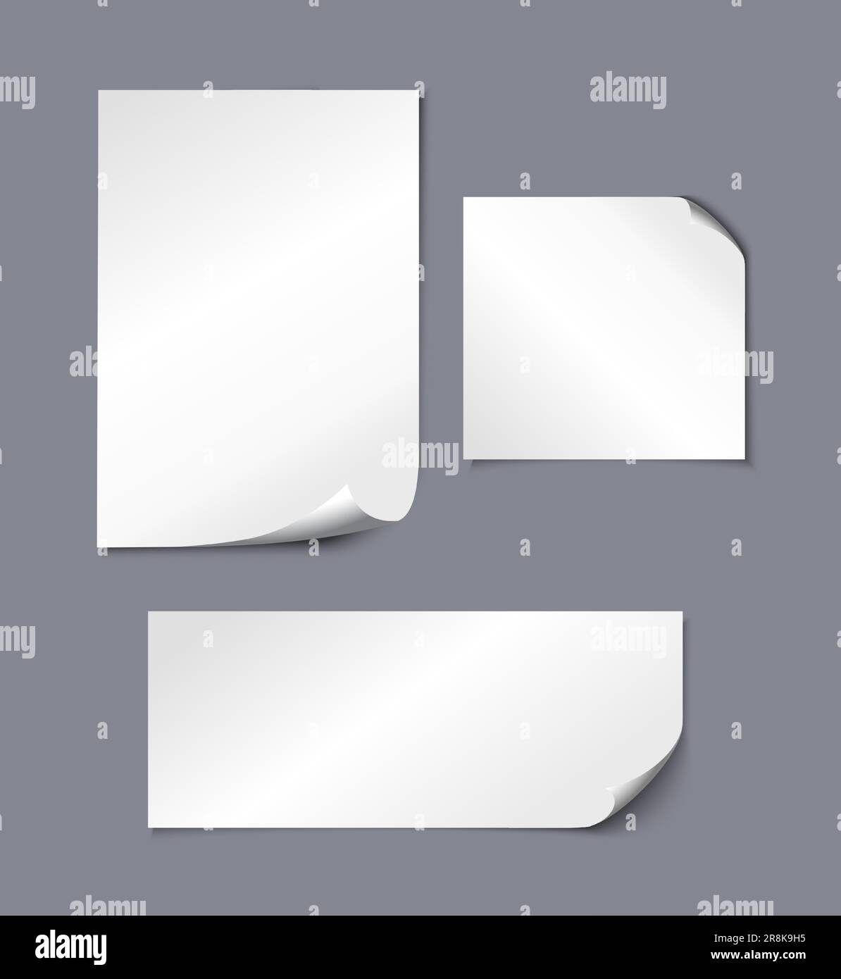realistic vector illustration. Curled paper set on gray background ...