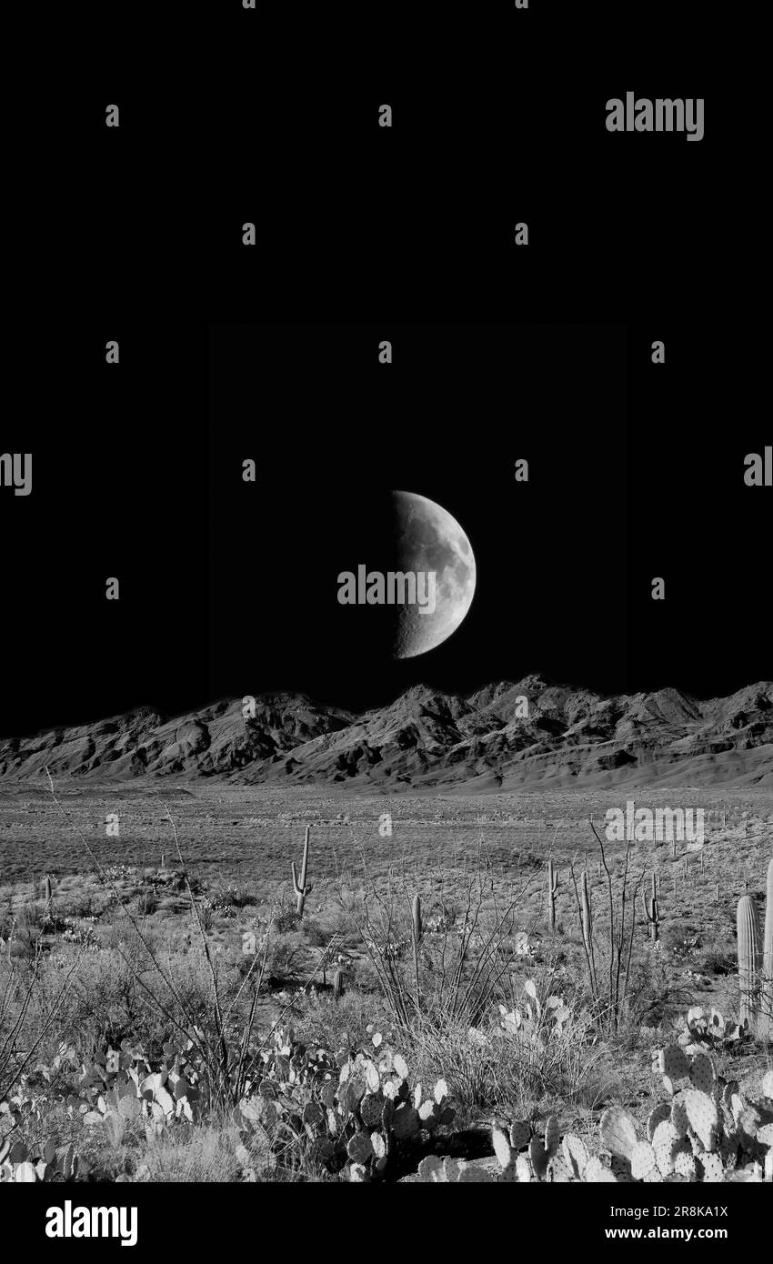 Moonrise in the Sonora desert in central Arizona USA Stock Photo - Alamy