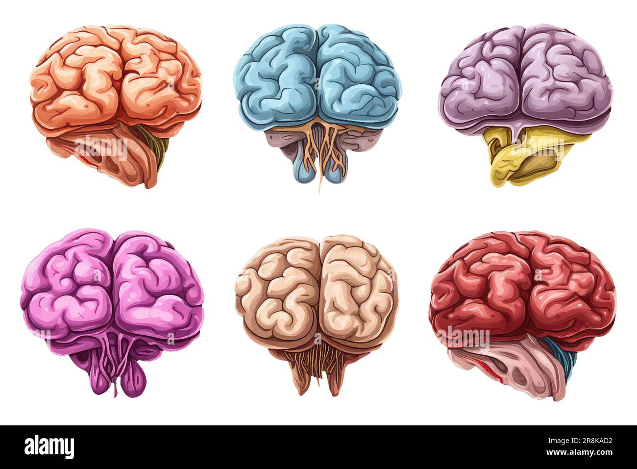 ui set vector illustration of brain isolate on white background back to ...