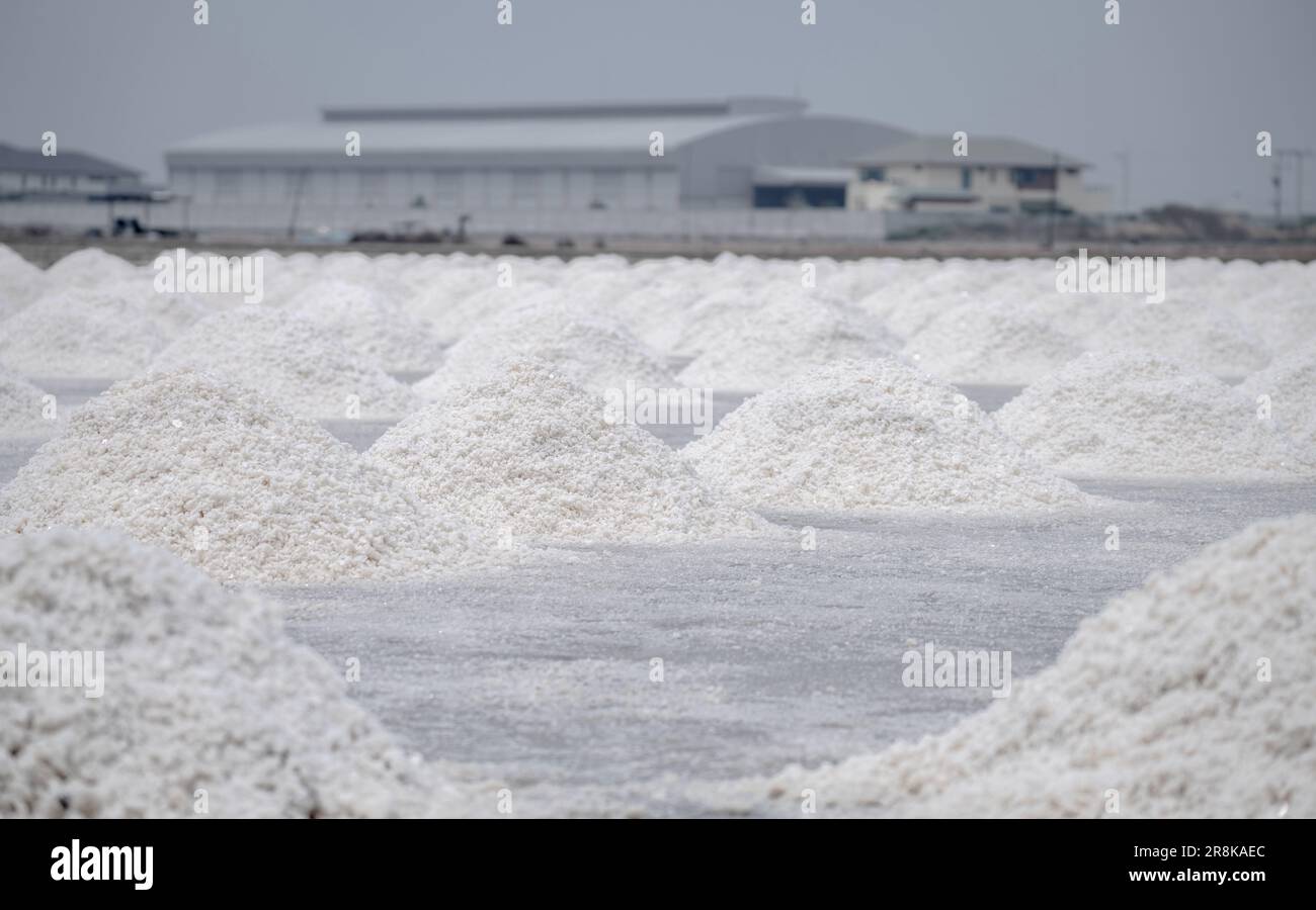 Sea salt farm. Pile of brine salt. Raw material of salt industrial ...