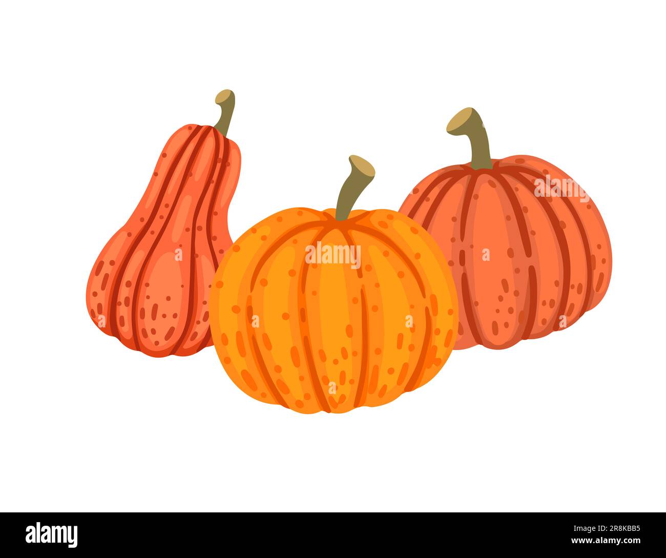 Orange pumpkins seasonal vegetable vector illustration isolated on ...