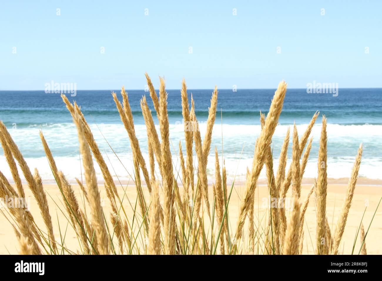 Emerald green ocean hi-res stock photography and images - Alamy