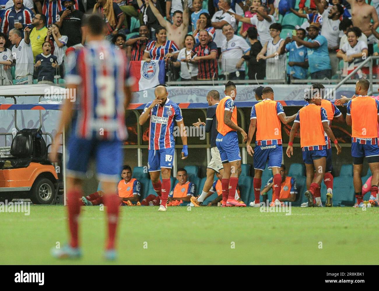 BA - SALVADOR - 06/21/2023 - BRASILEIRO A 2023, BAHIA X PALMEIRAS ...