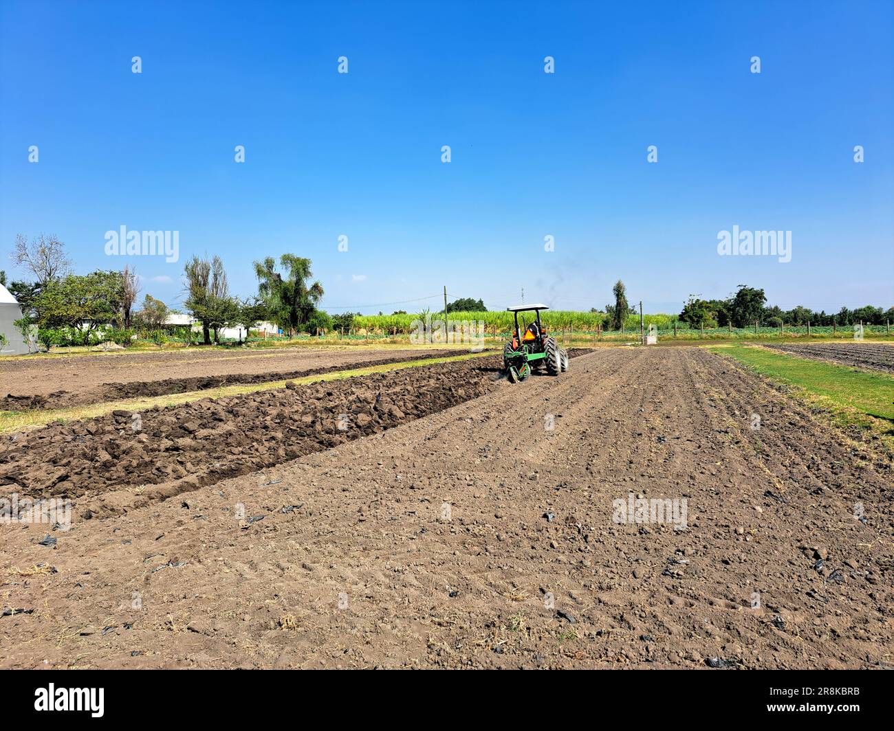 Agricultural tractor plows the land to cultivate, work the field and ...