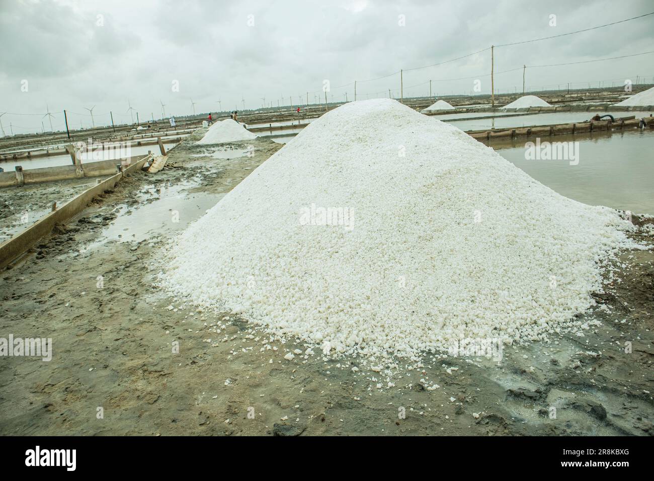 Salt farm in Sri Lanka . Salt farming in Sri Lanka. Salt production ...