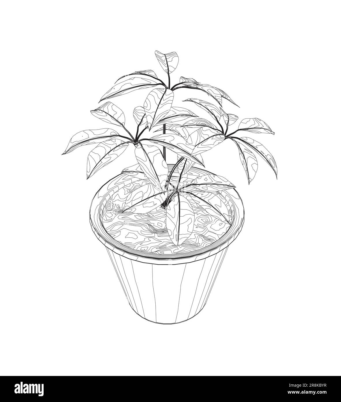 Plant in flower pot outline. Line, solid and filled outline version ...