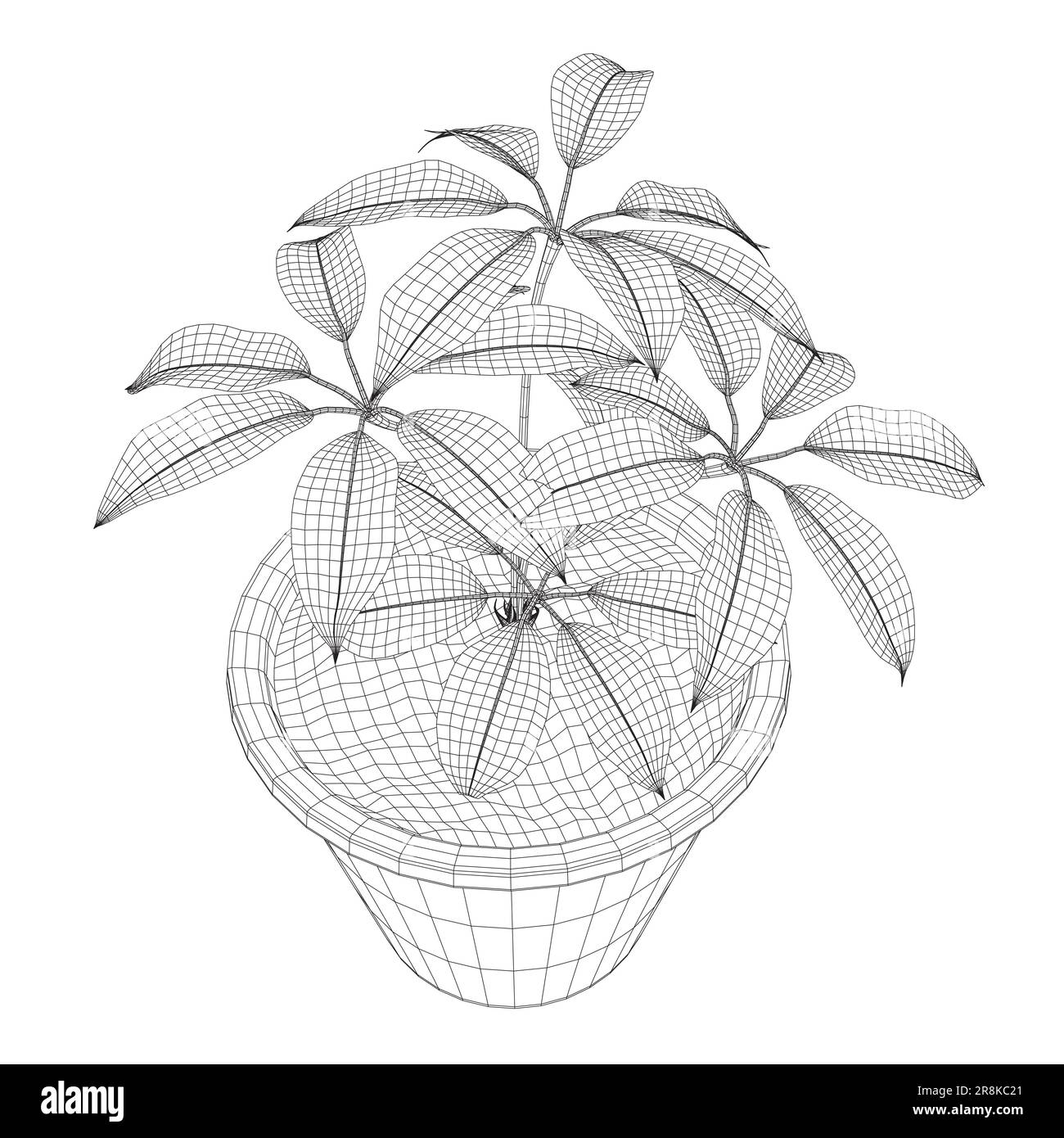 Plant in flower pot wireframe. Line wireframe version, outline and ...