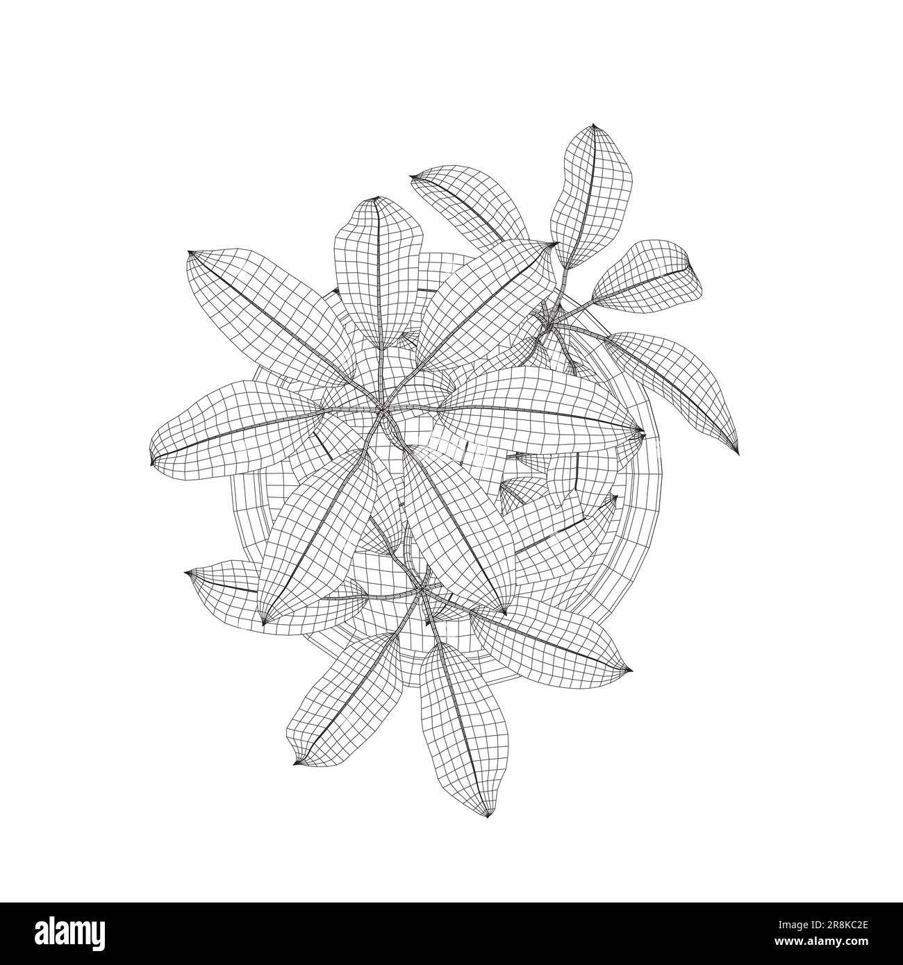 Plant in flower pot wireframe. Line wireframe version, outline and ...