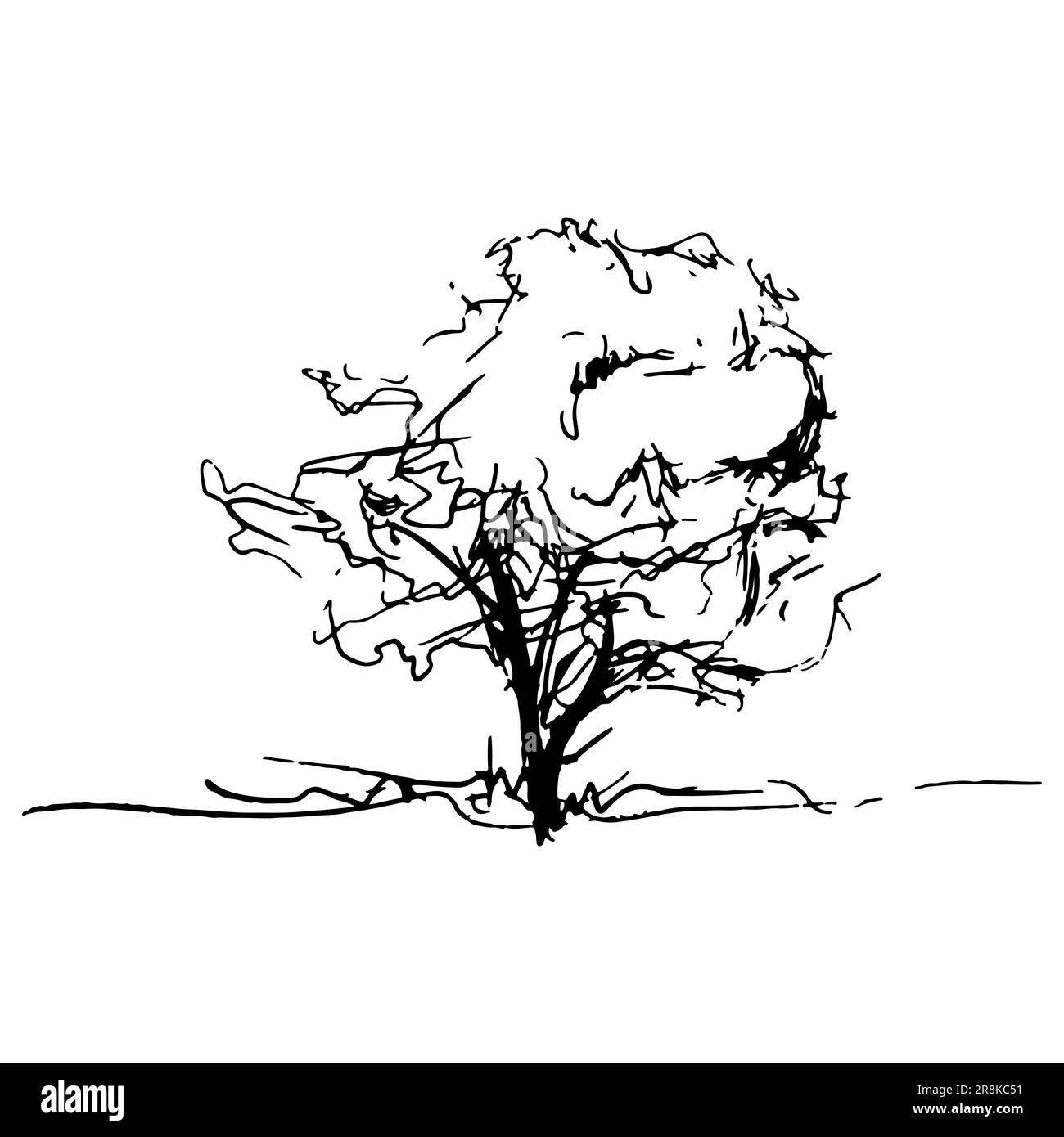 Monochrome tree silhouette vector sketched line art isolated Stock ...