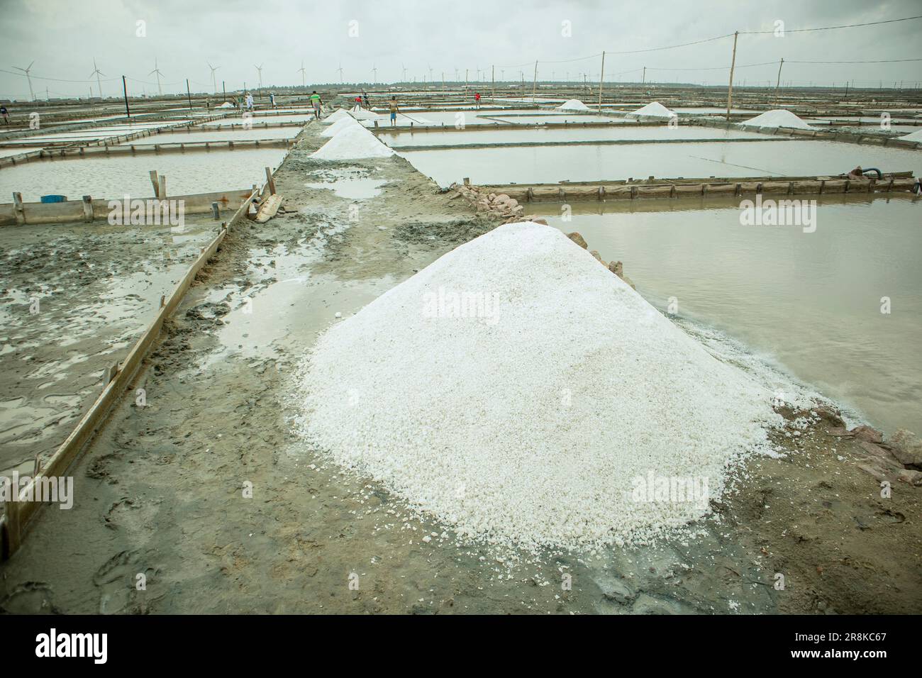 Salt farm in Sri Lanka . Salt farming in Sri Lanka. Salt production ...