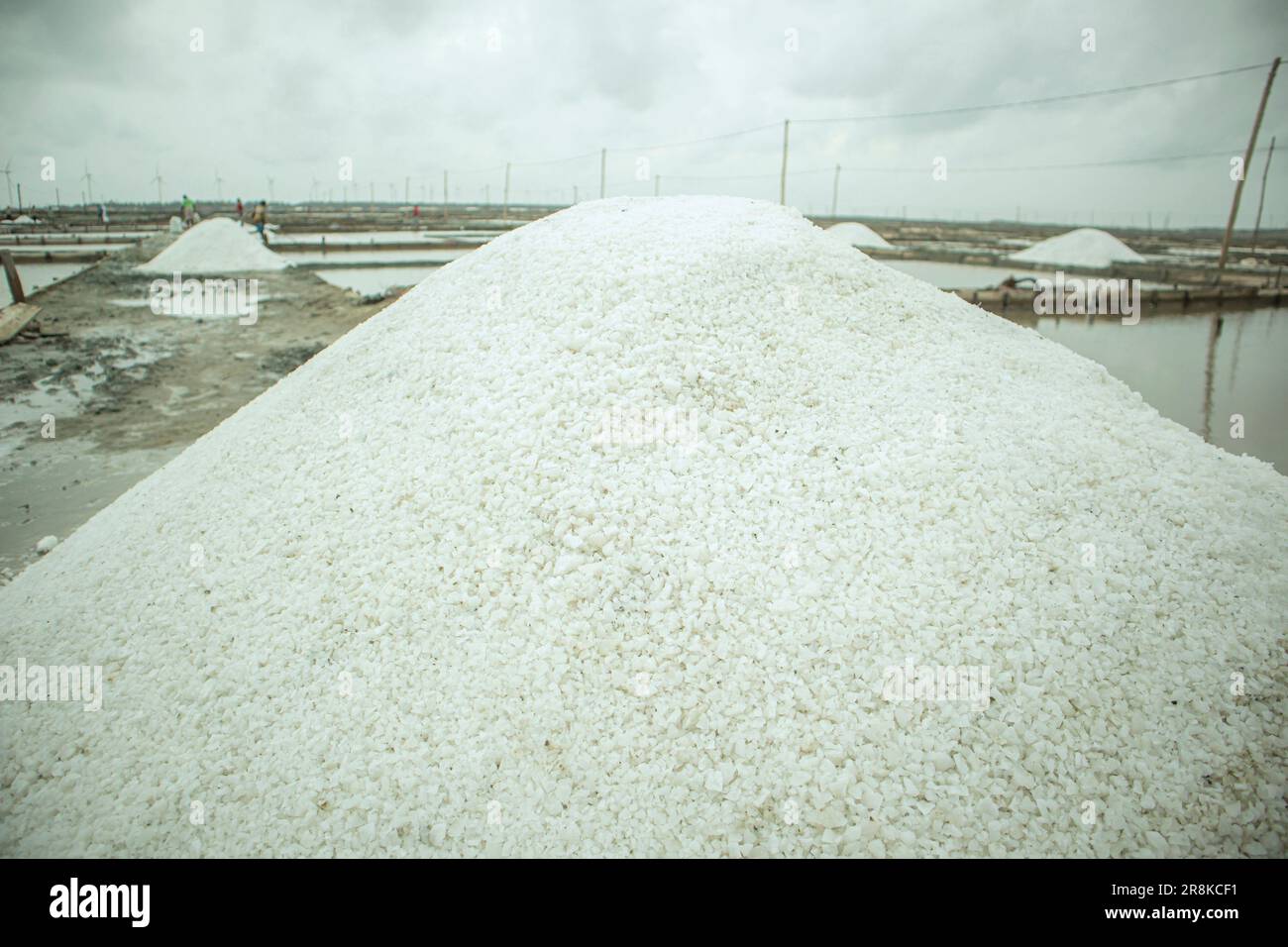 Salt farm in Sri Lanka . Salt farming in Sri Lanka. Salt production ...