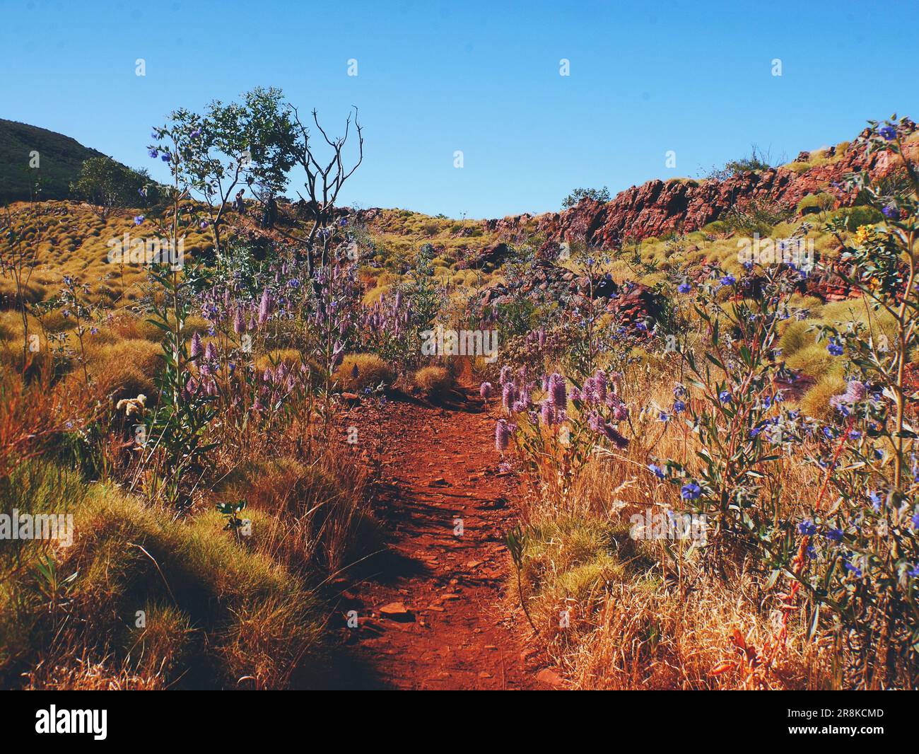 Explorewesternaustralia hi-res stock photography and images - Alamy