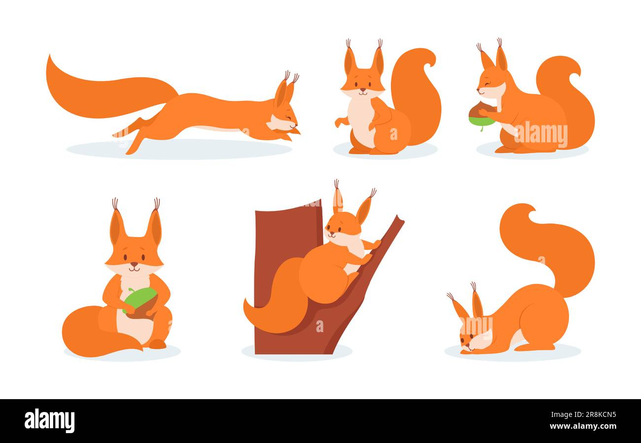 Cute squirrels flat icon set Stock Vector Image & Art - Alamy