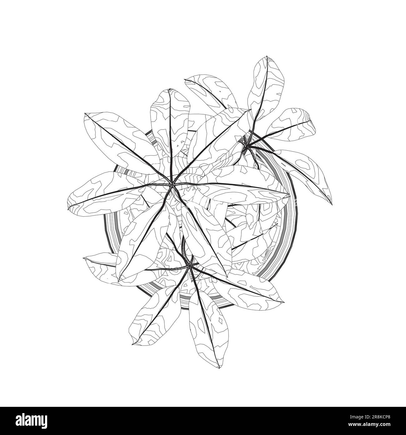 Plant in flower pot outline. Line, solid and filled outline version ...