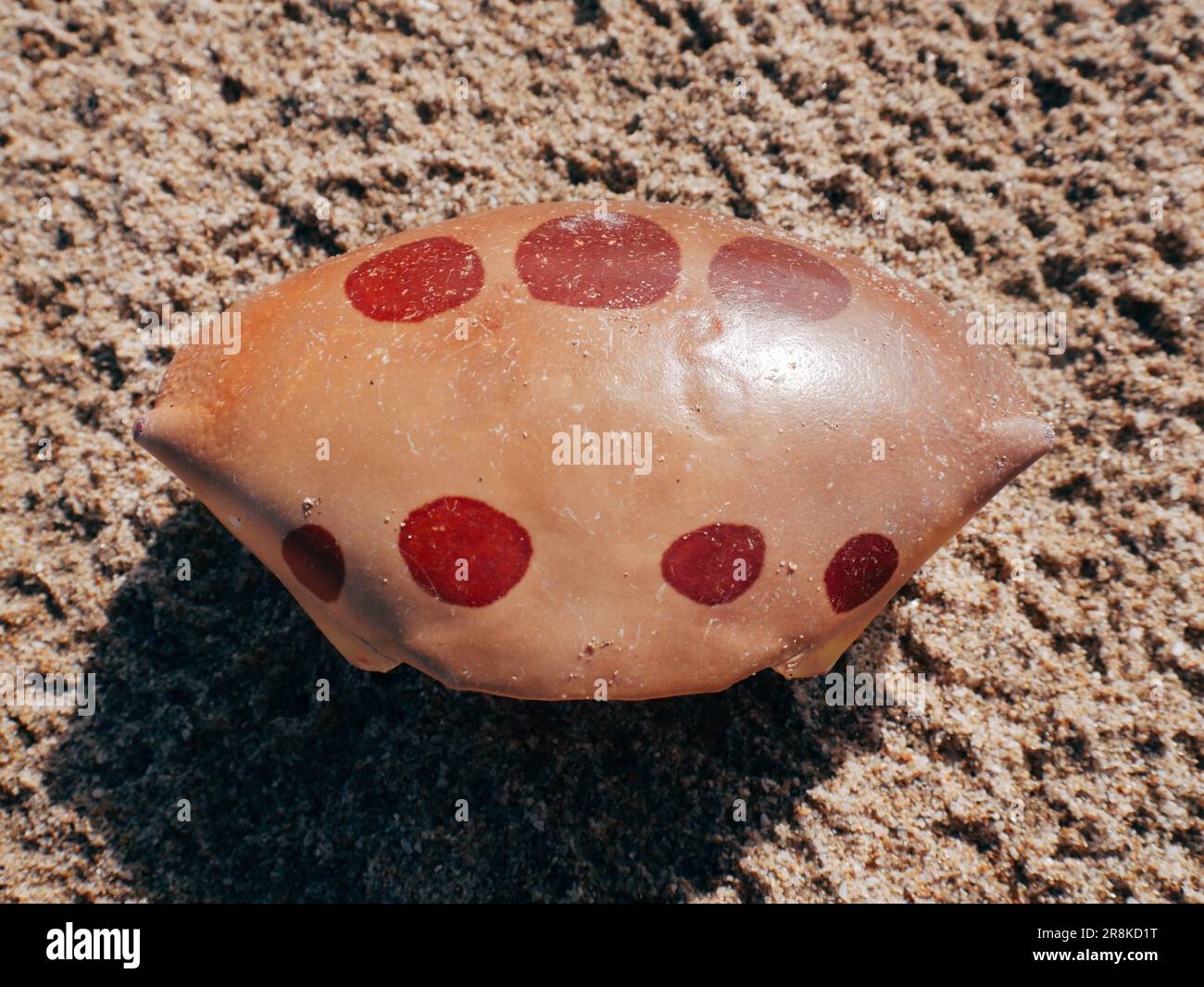 Hartog island hi-res stock photography and images - Alamy