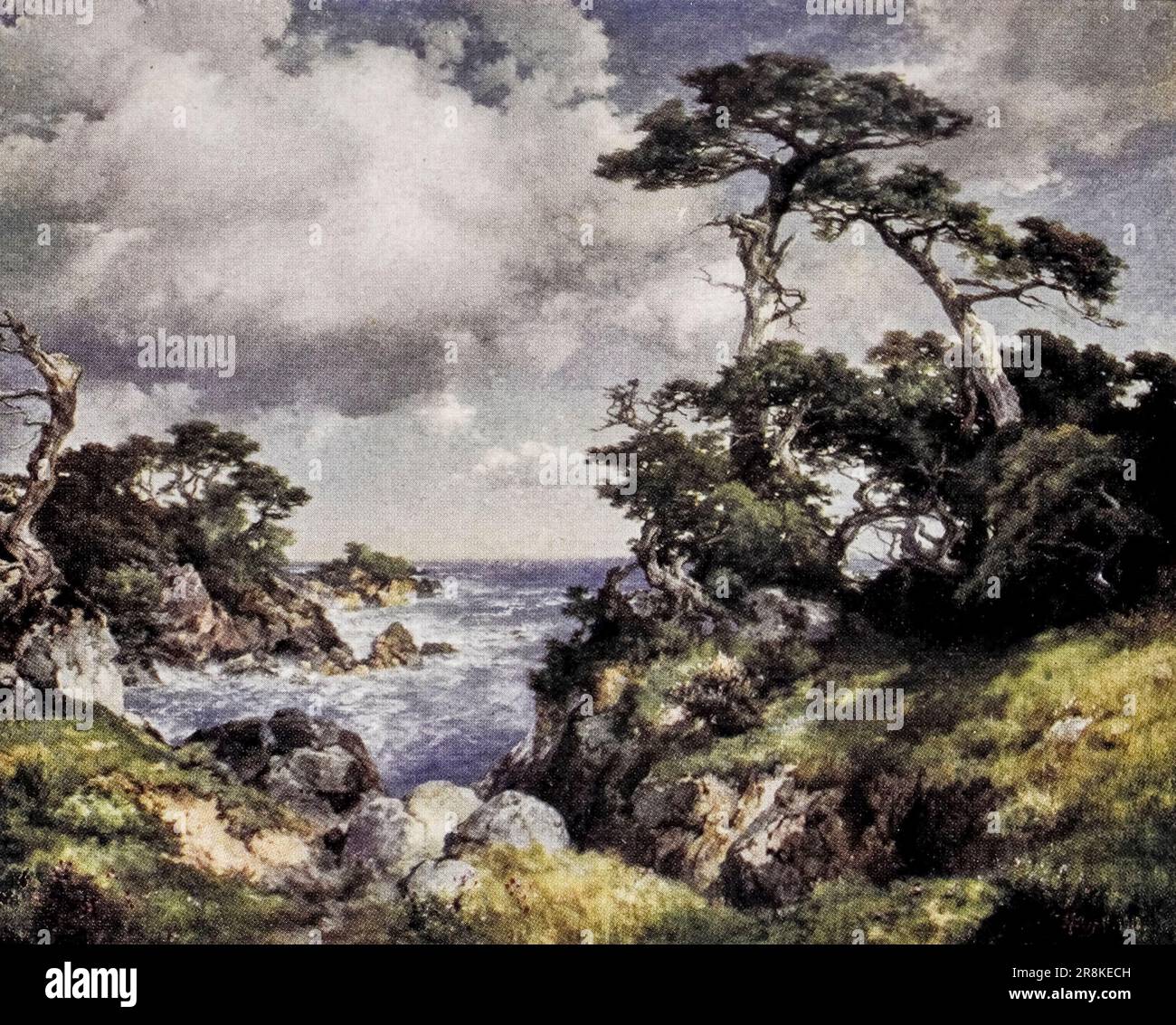 Monterey cypress painting hi-res stock photography and images - Alamy