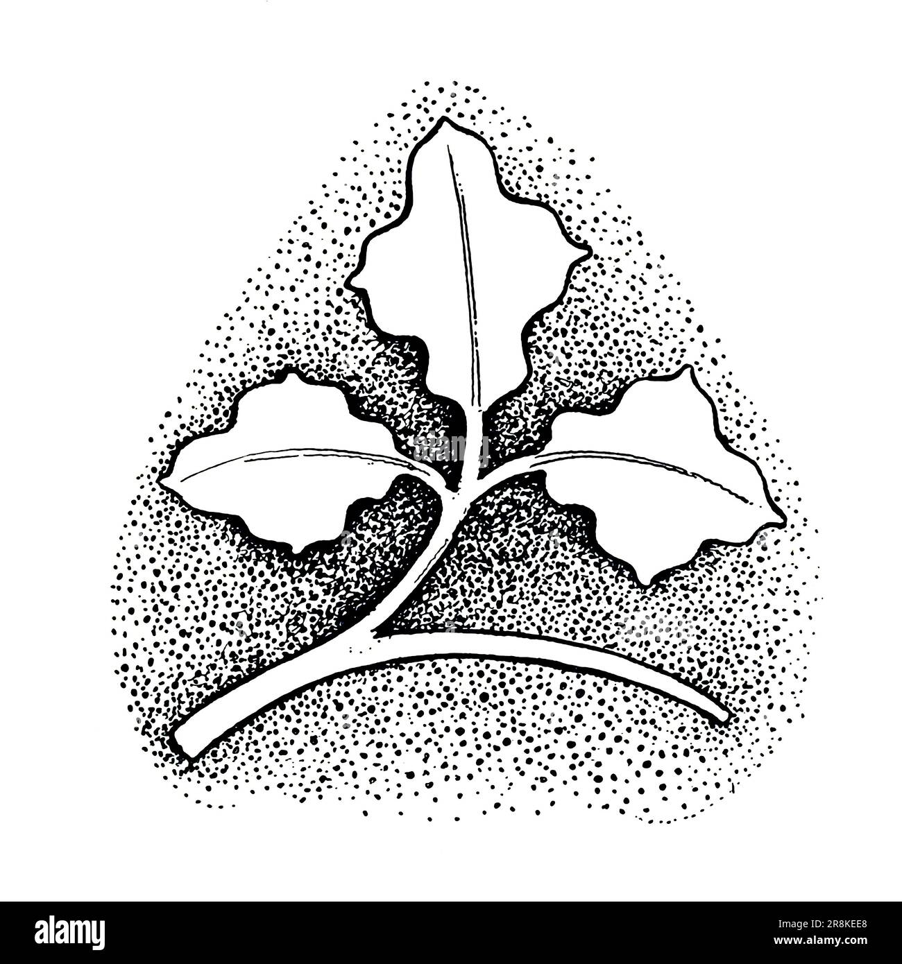 Incised floral patterns Cut Out Stock Images & Pictures - Alamy