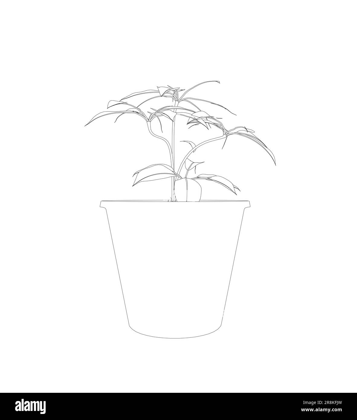 Plant in flower pot outline. Line, solid and filled outline version ...