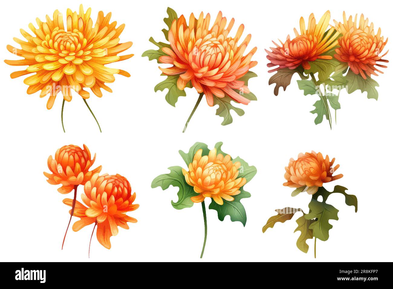ui set vector illustration of yellow and orange flower isolate on white ...