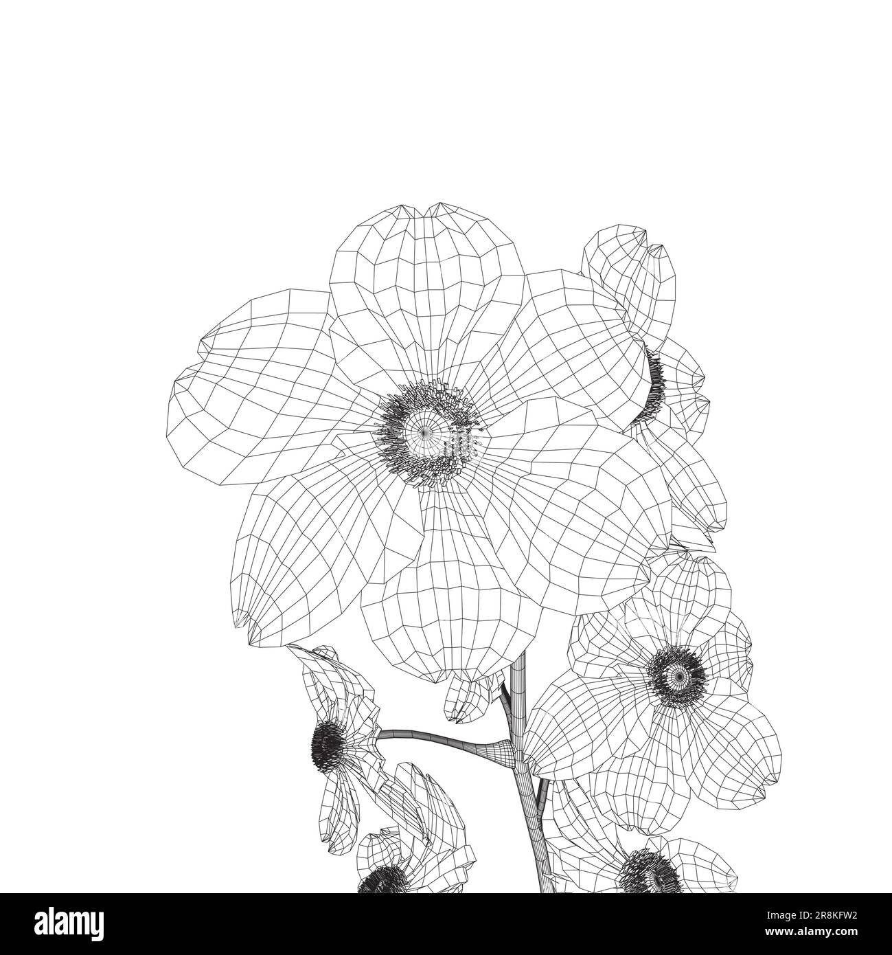 Wireframe flowers decoration on white background. Black wireframe of ...