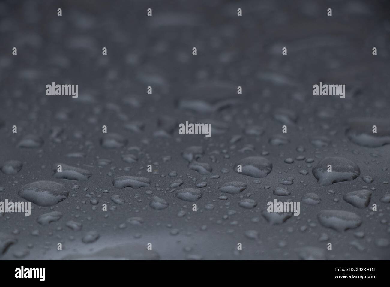 Water droplet on a dark surface hi-res stock photography and images - Alamy