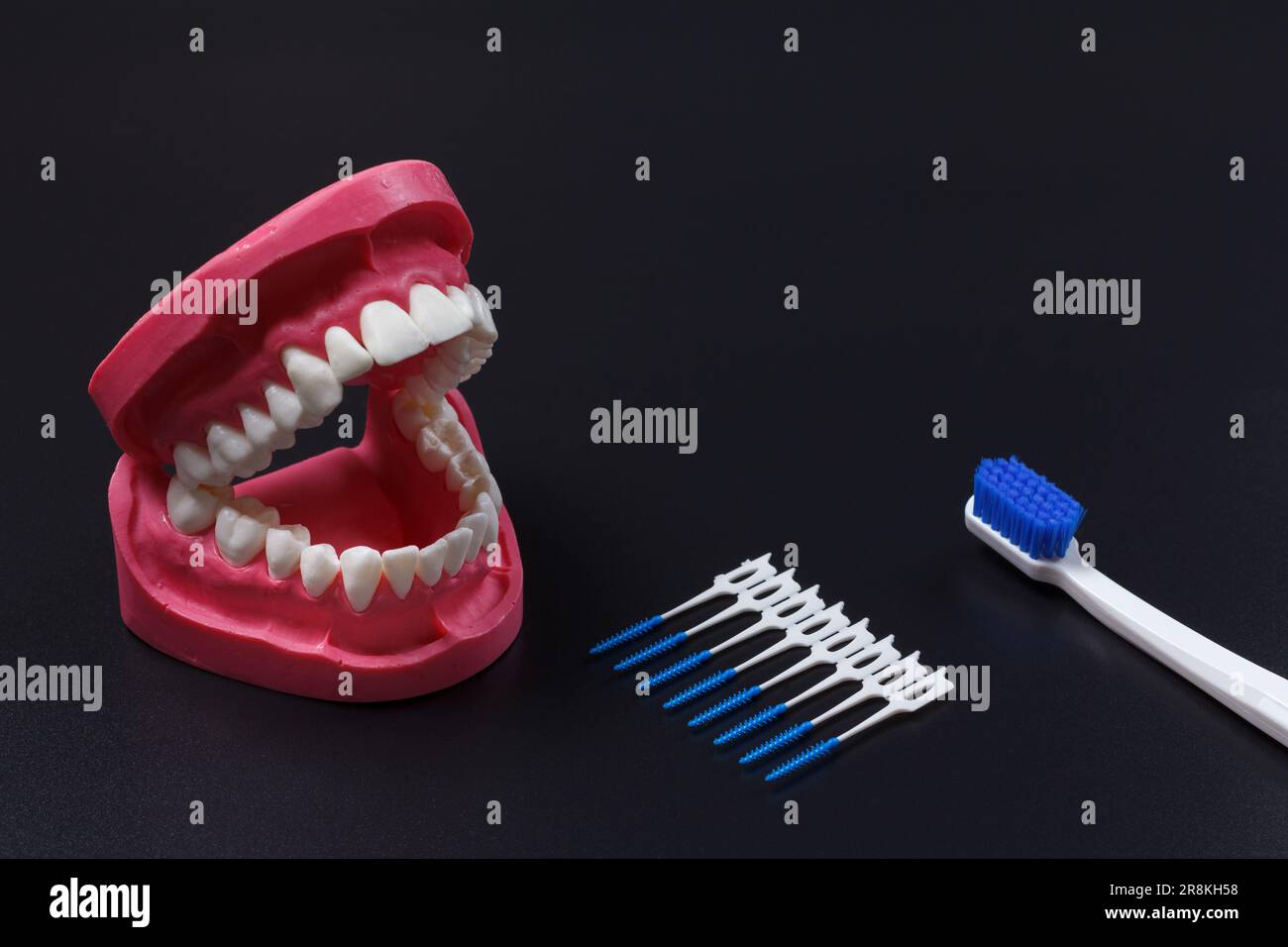 Human jaw layout and toothbrush, flossing toothpick Stock Photo - Alamy