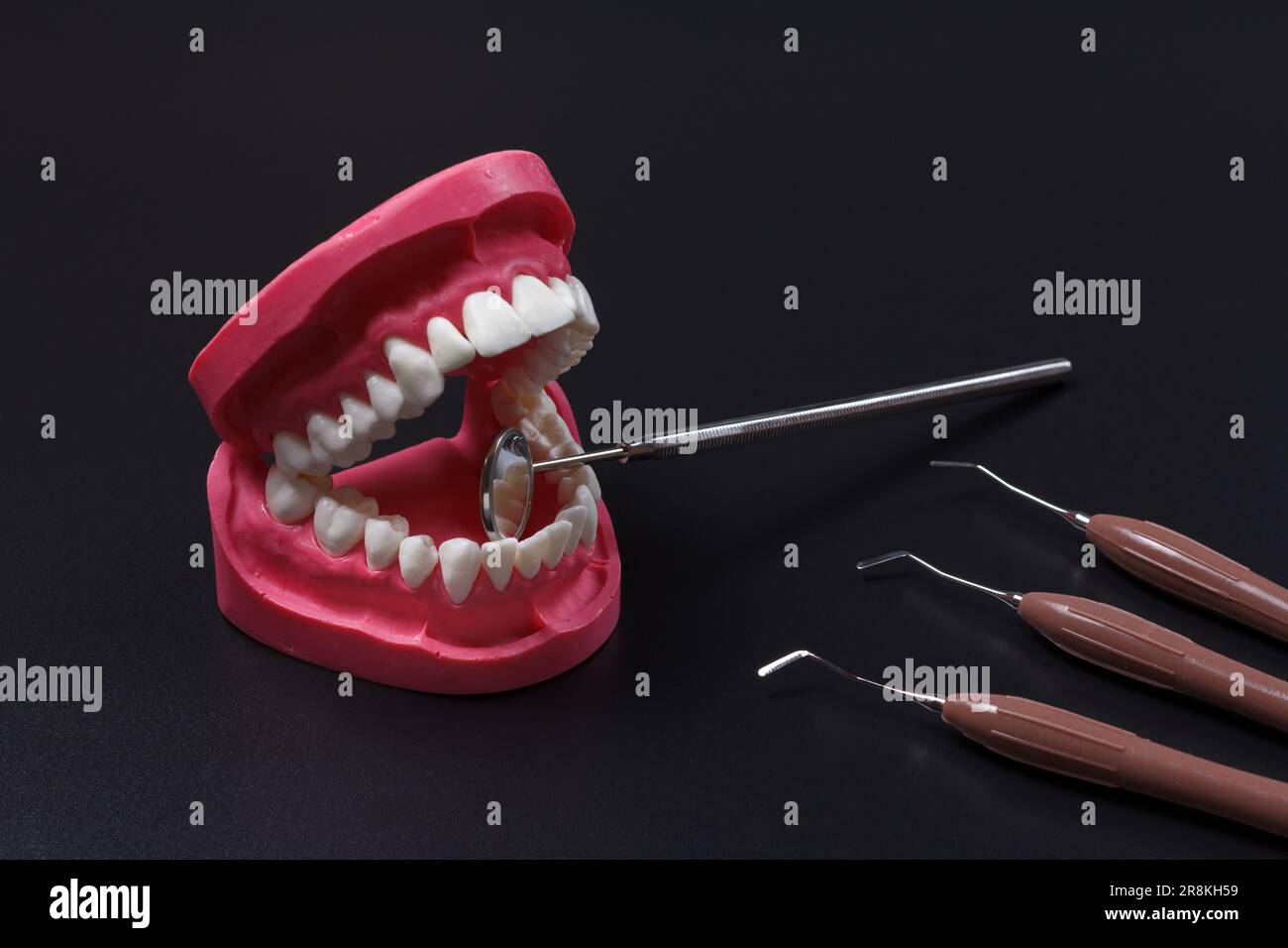 Layout of the human jaw with the mouth mirror and the dental ...