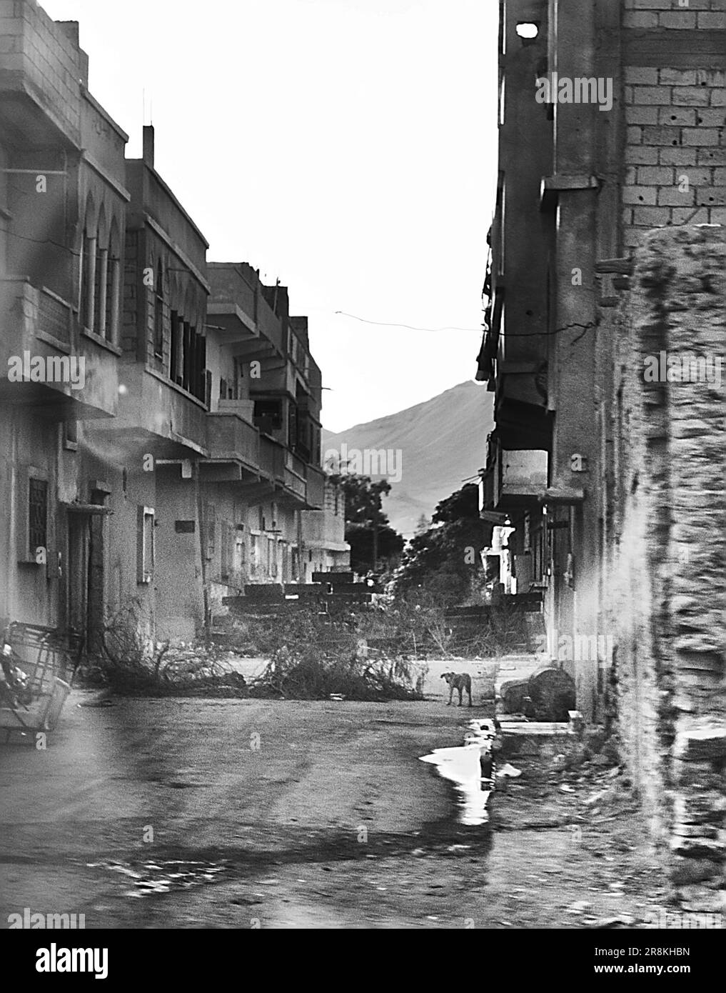 After the civil war destruction Black and White Stock Photos & Images ...