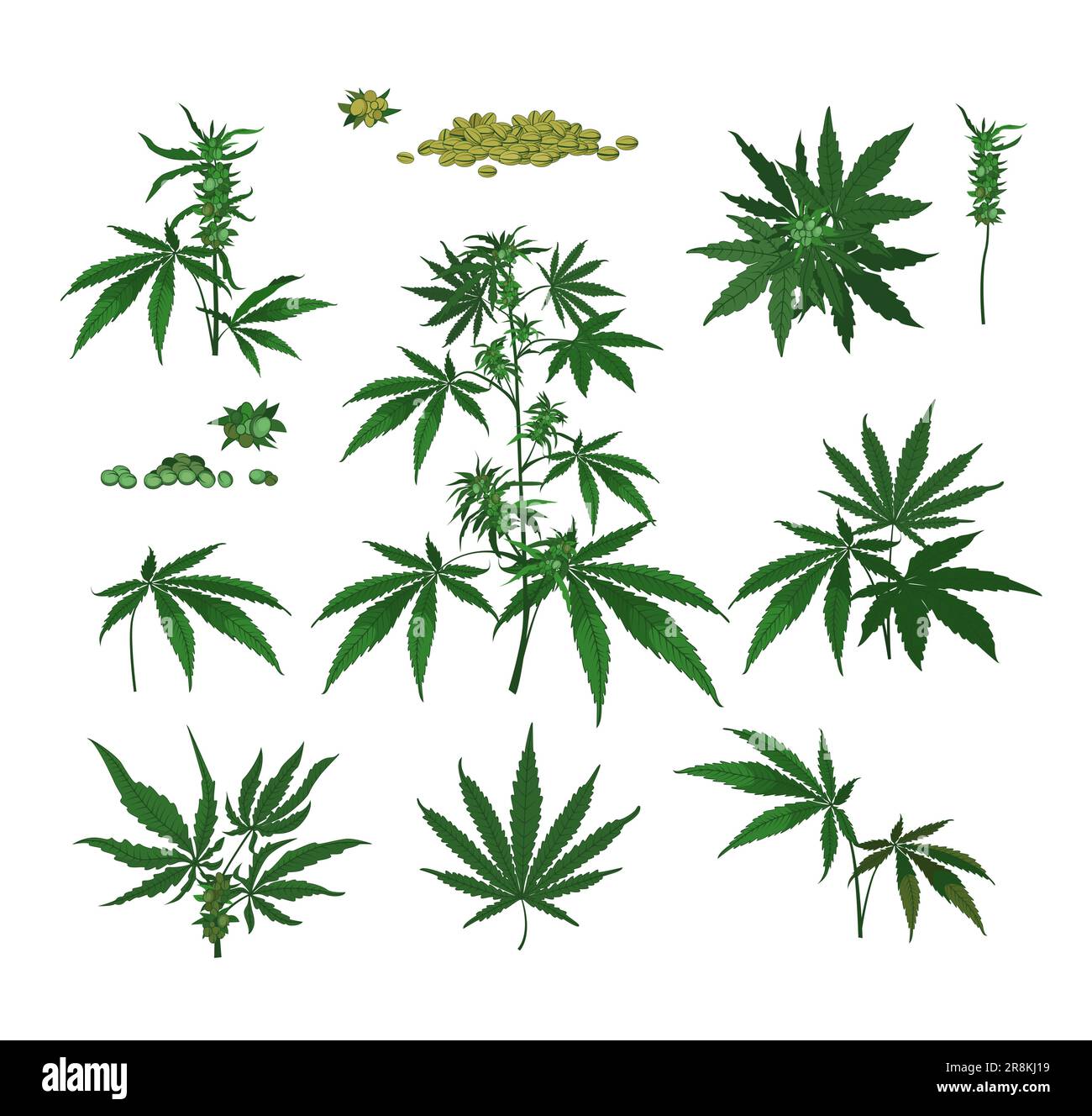 Hand drawn green cannabis Stock Vector Images - Alamy