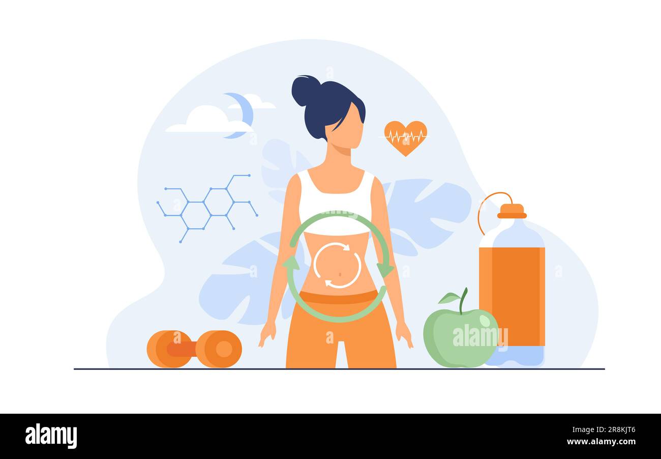 Metabolic process of woman on diet Stock Vector Image & Art - Alamy