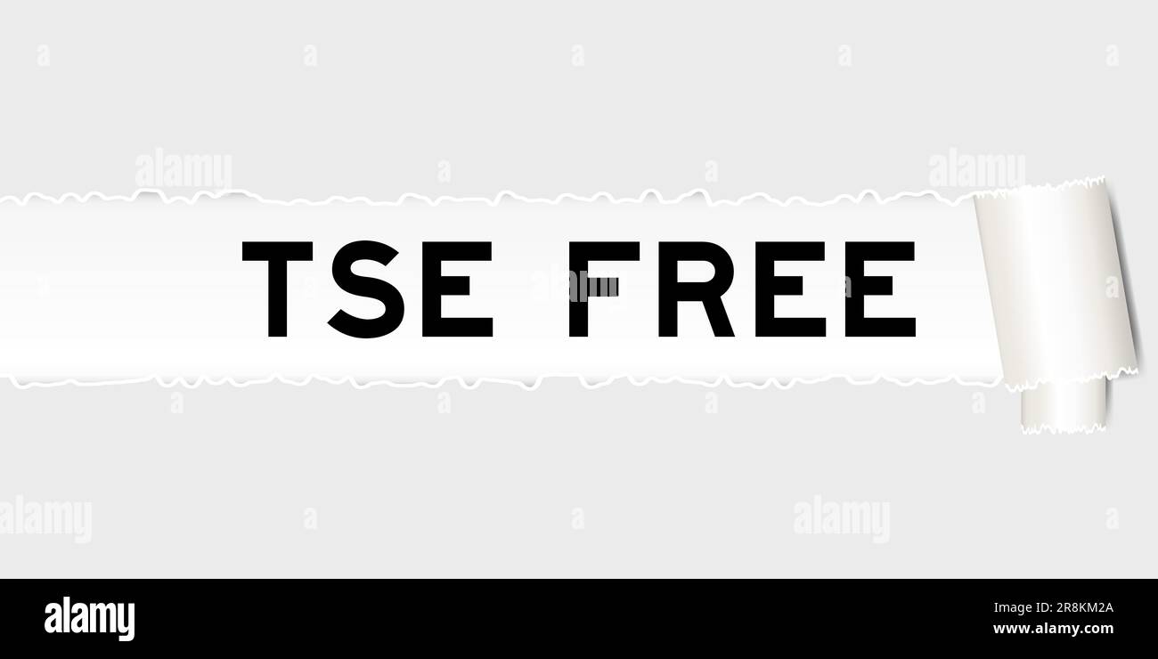 Ripped gray paper background that have word TSE (Transmissible ...