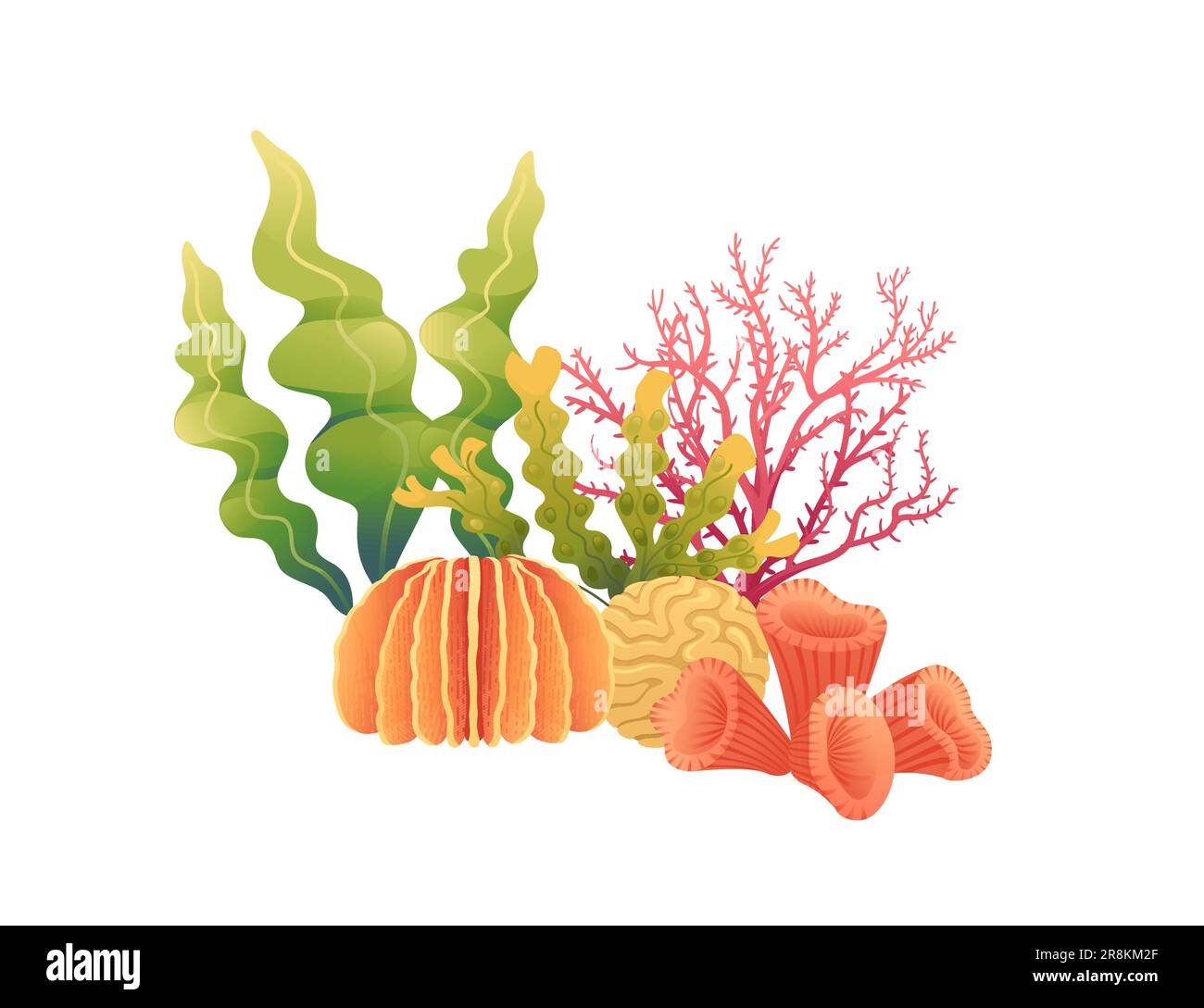 Plants and aquatic marine seaweed vector illustration isolated on white background Stock Vector ...