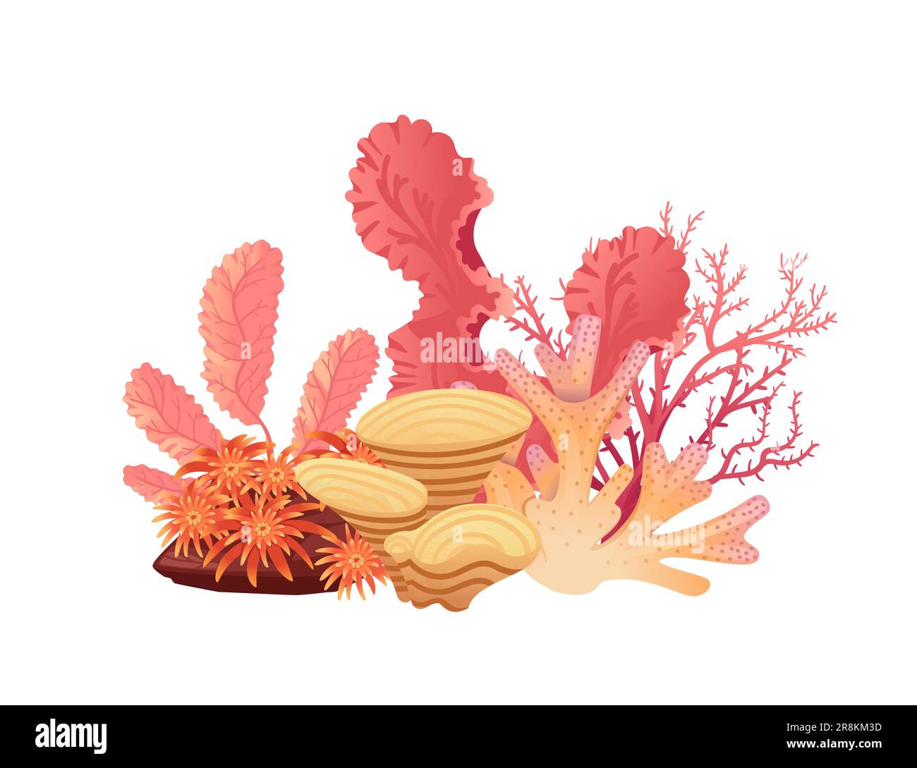 Plants and aquatic marine seaweed vector illustration isolated on white background Stock Vector ...
