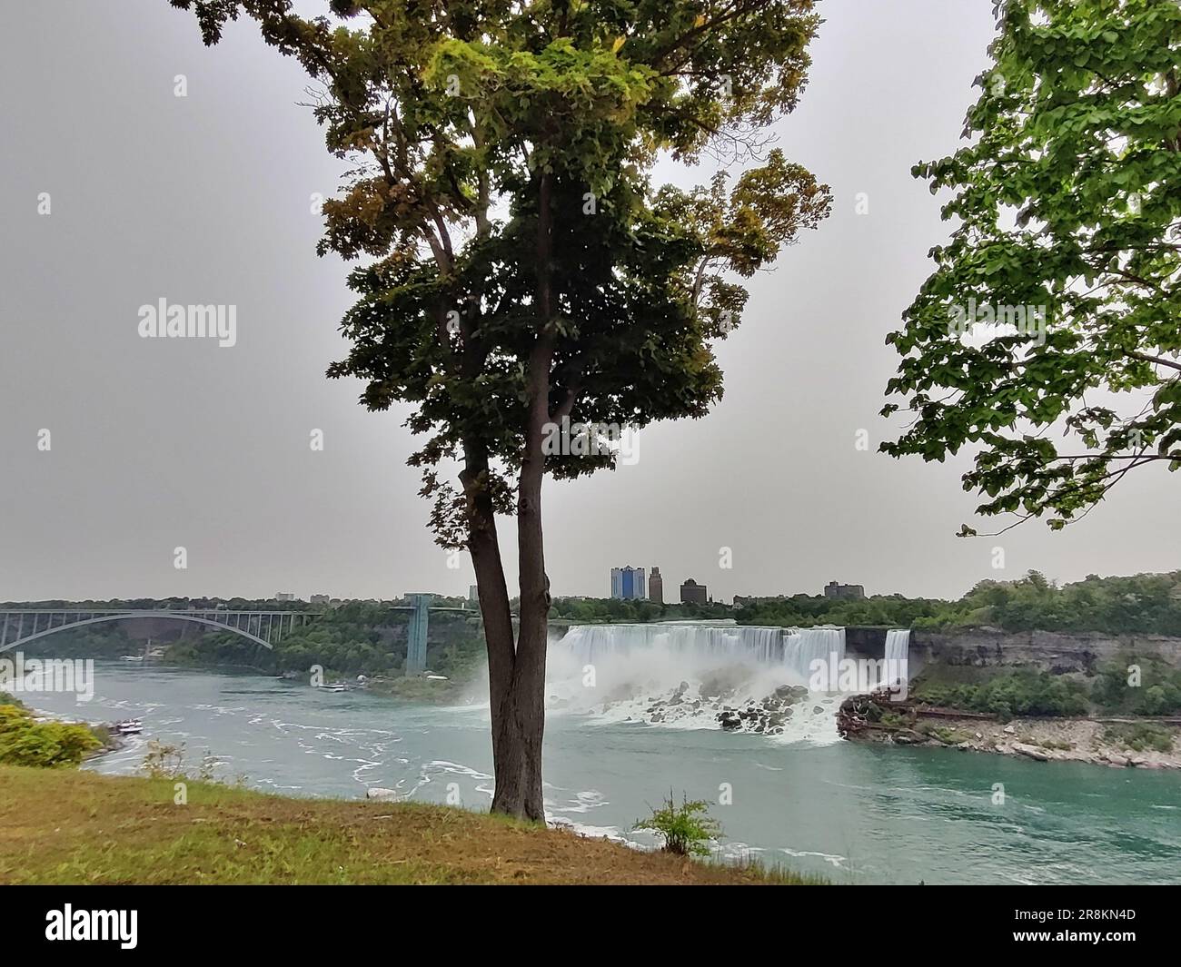 Niagara falls/Horseshoe falls and trees-Ontario/Canada Stock Photo - Alamy