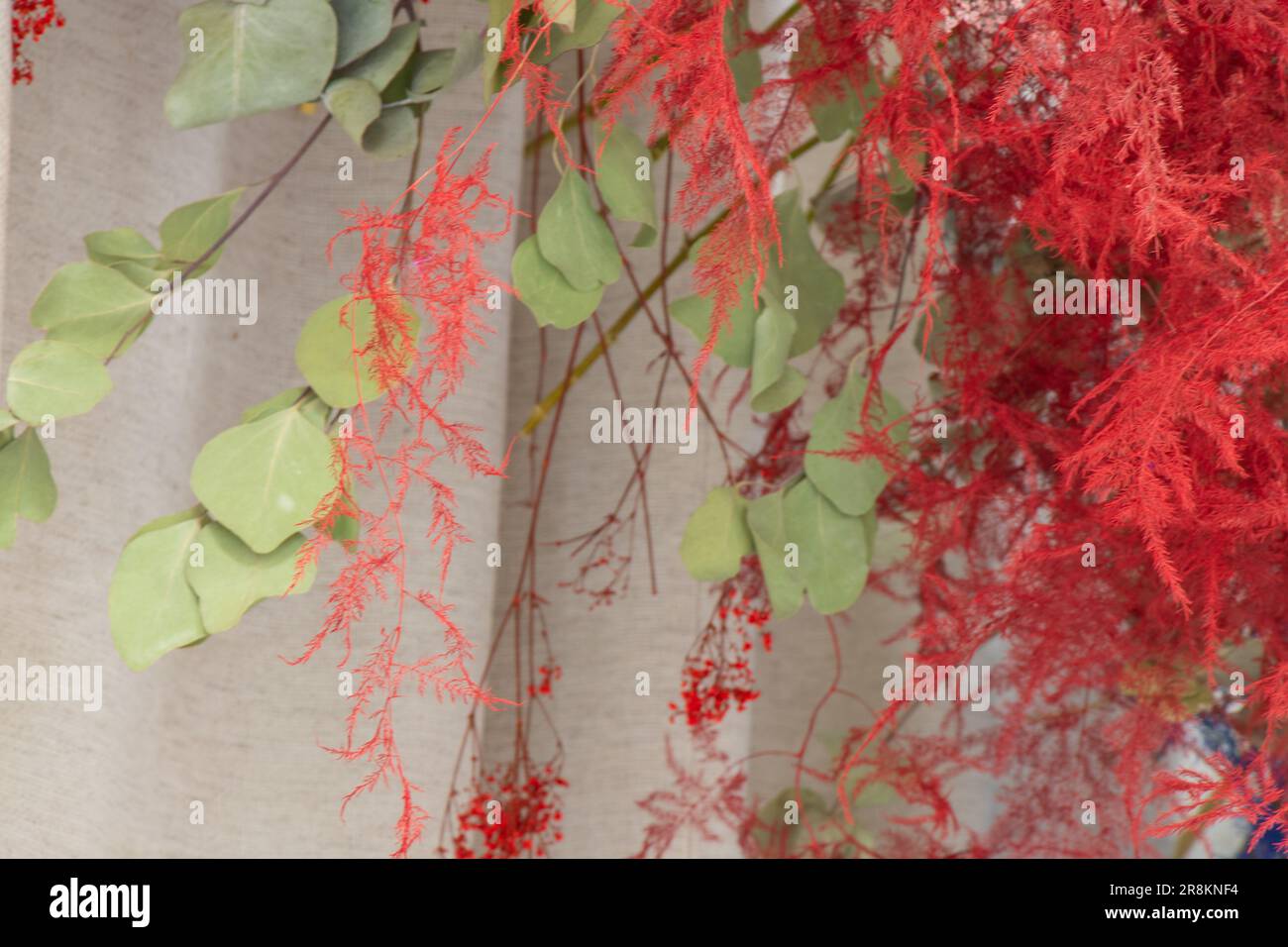 Dried floral decor hi-res stock photography and images - Alamy